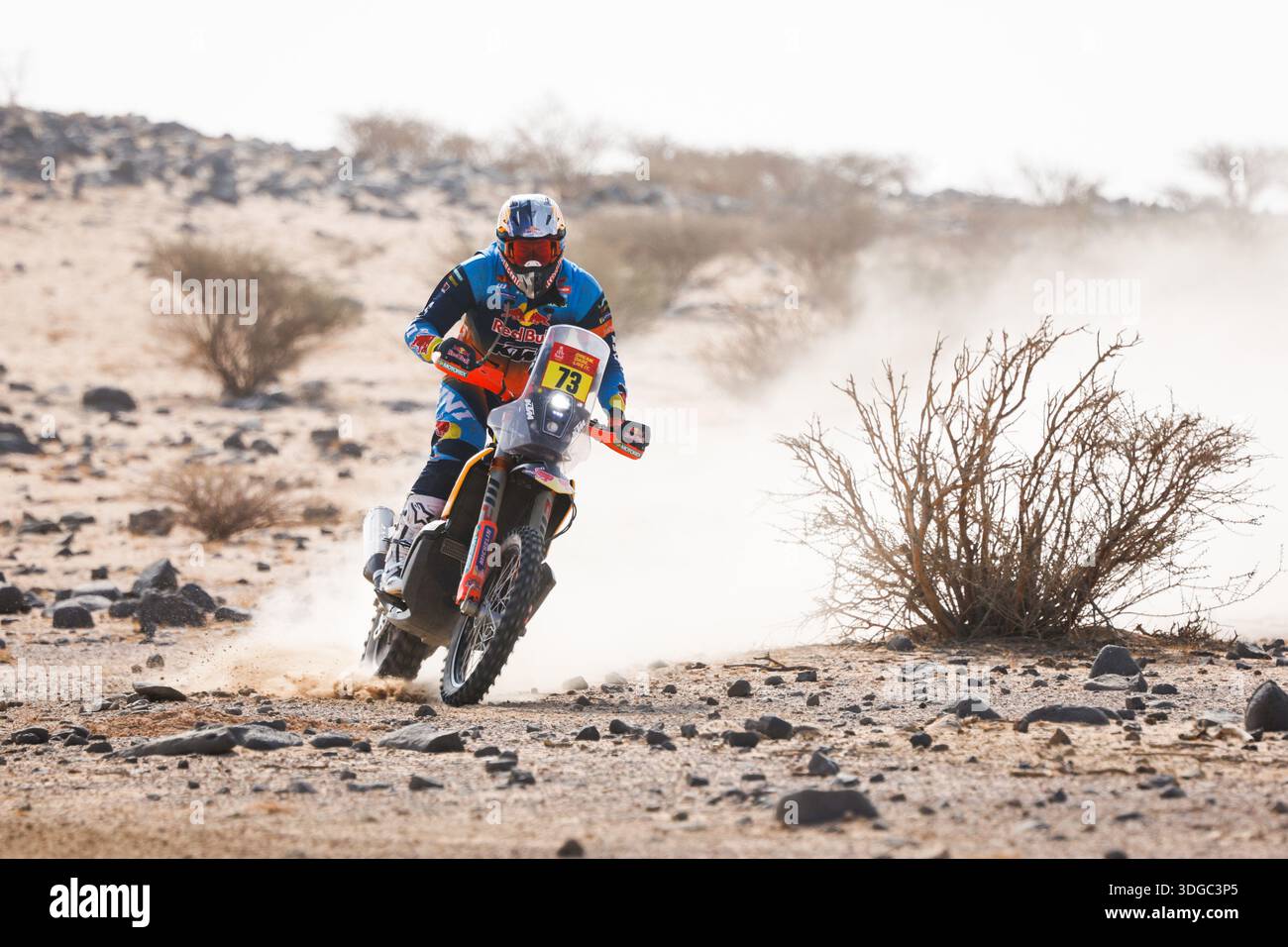 Bisha, Saudi Arabia. 15th Jan, 2026. 2026 Dakar Rally, Stage Eleven; 73 ...