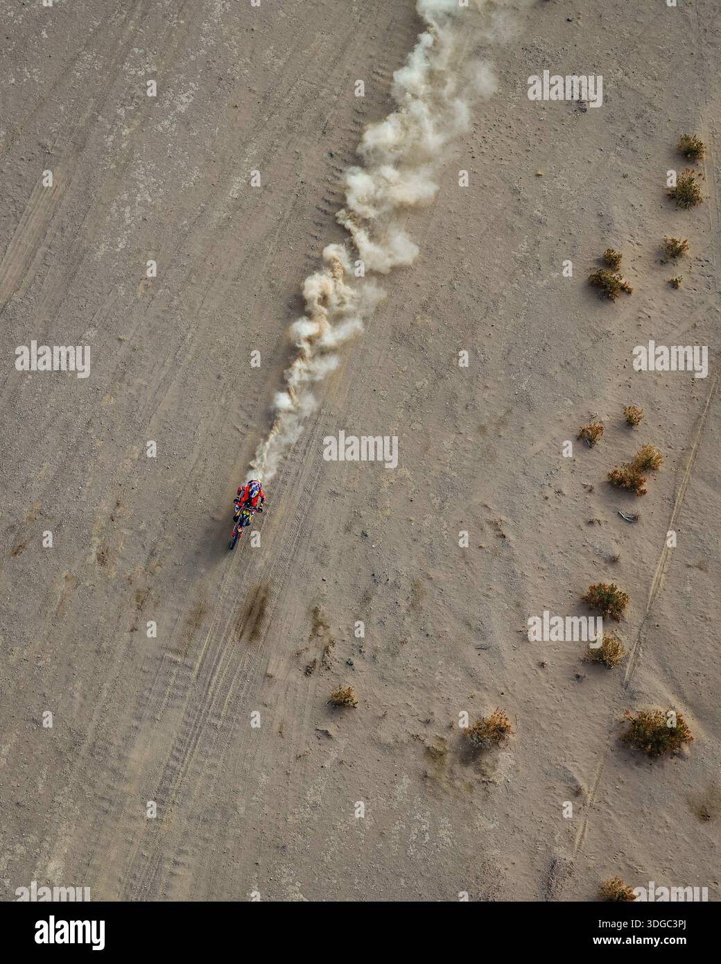 Bisha, Saudi Arabia. 15th Jan, 2026. 2026 Dakar Rally, Stage Eleven; 01 ...