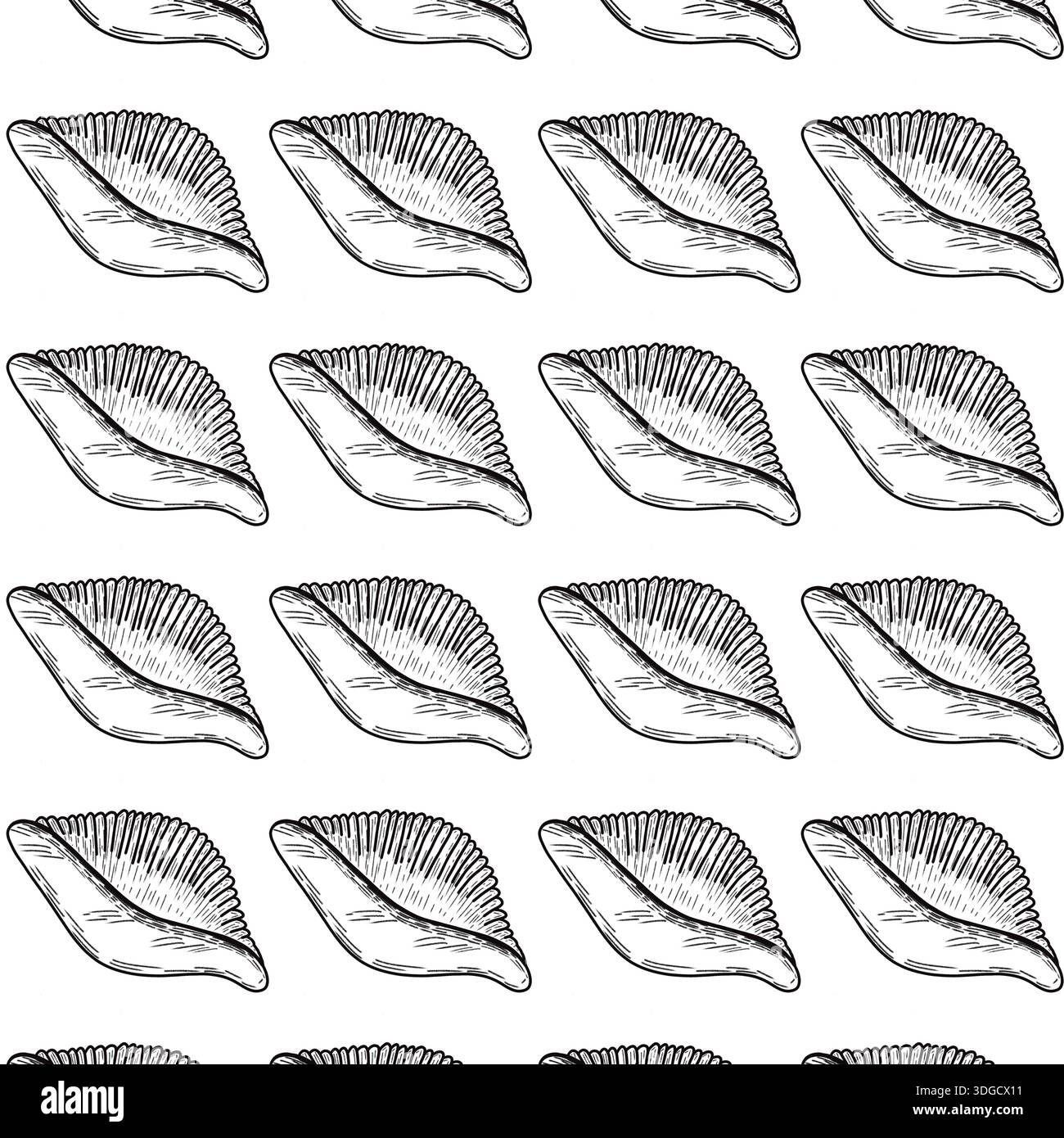 Minimalist fine line digital illustration featuring a seamless shell ...