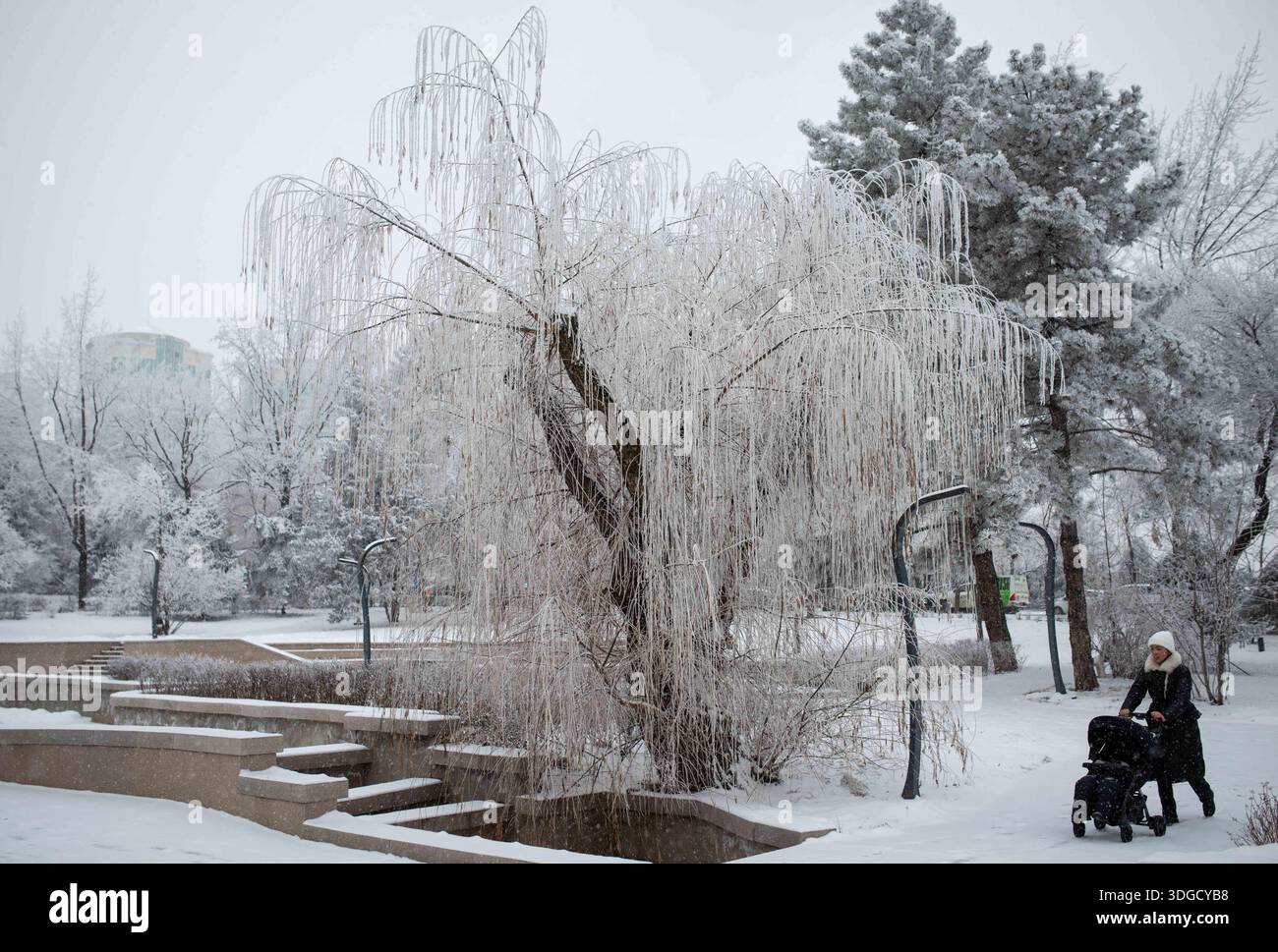 Almaty. 16th Jan, 2026. Photo taken on Jan. 16, 2026 shows the rime ...