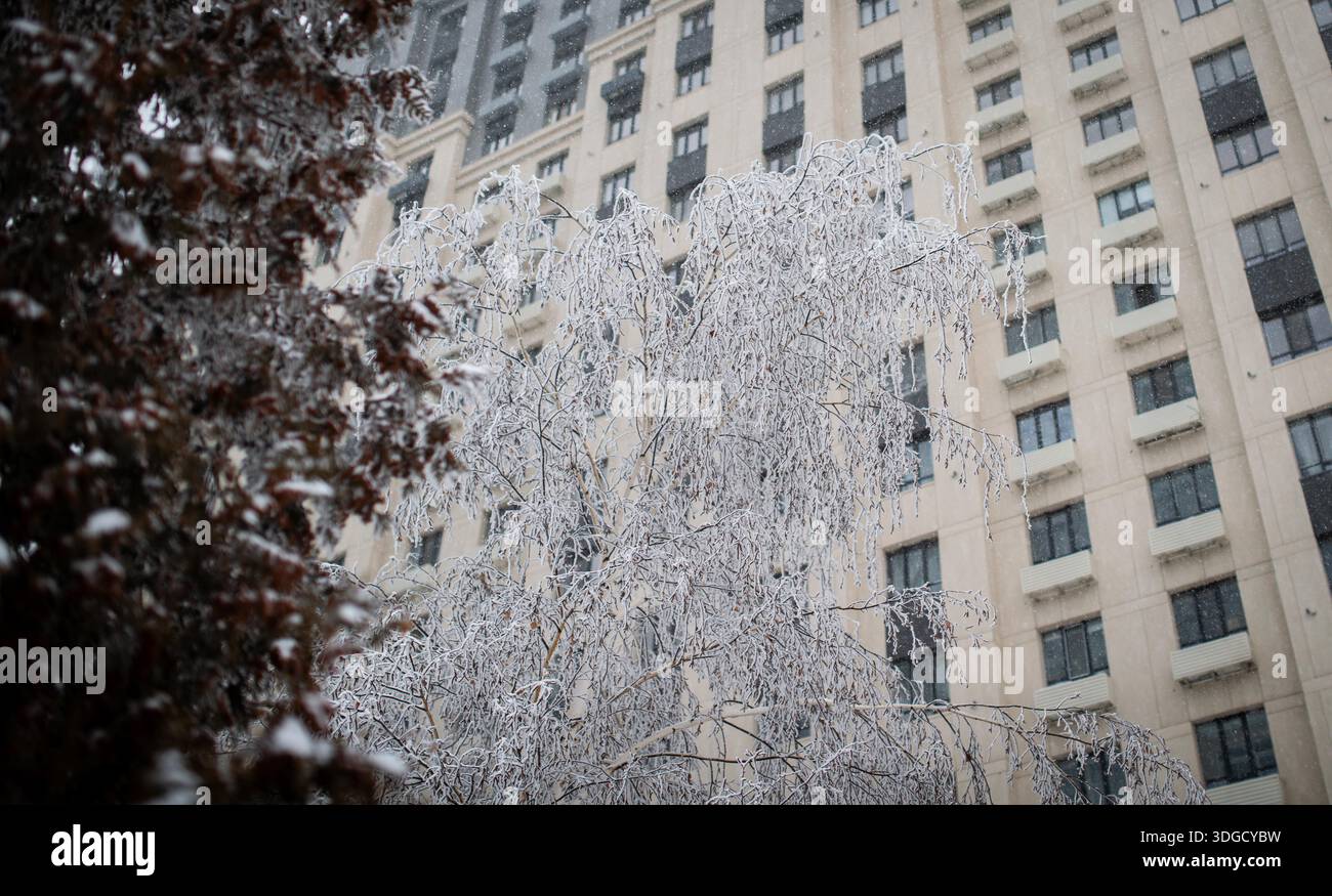 Almaty. 16th Jan, 2026. Photo taken on Jan. 16, 2026 shows the rime ...