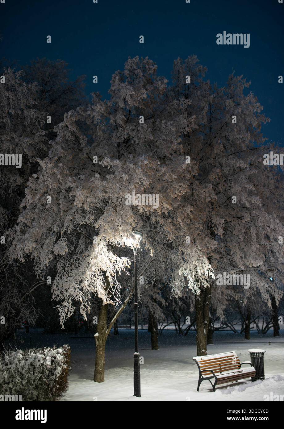 Almaty. 16th Jan, 2026. Photo taken on Jan. 16, 2026 shows the rime ...