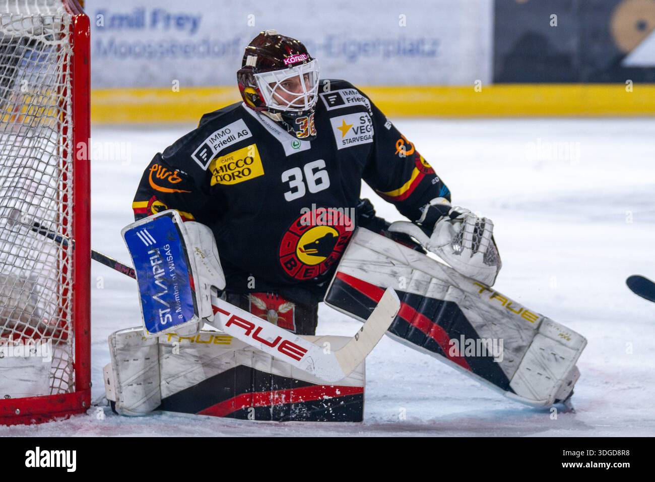 16/01/2026, Bern, PostFinance Arena, NL: SC Bern - HC Lugano, #36 ...
