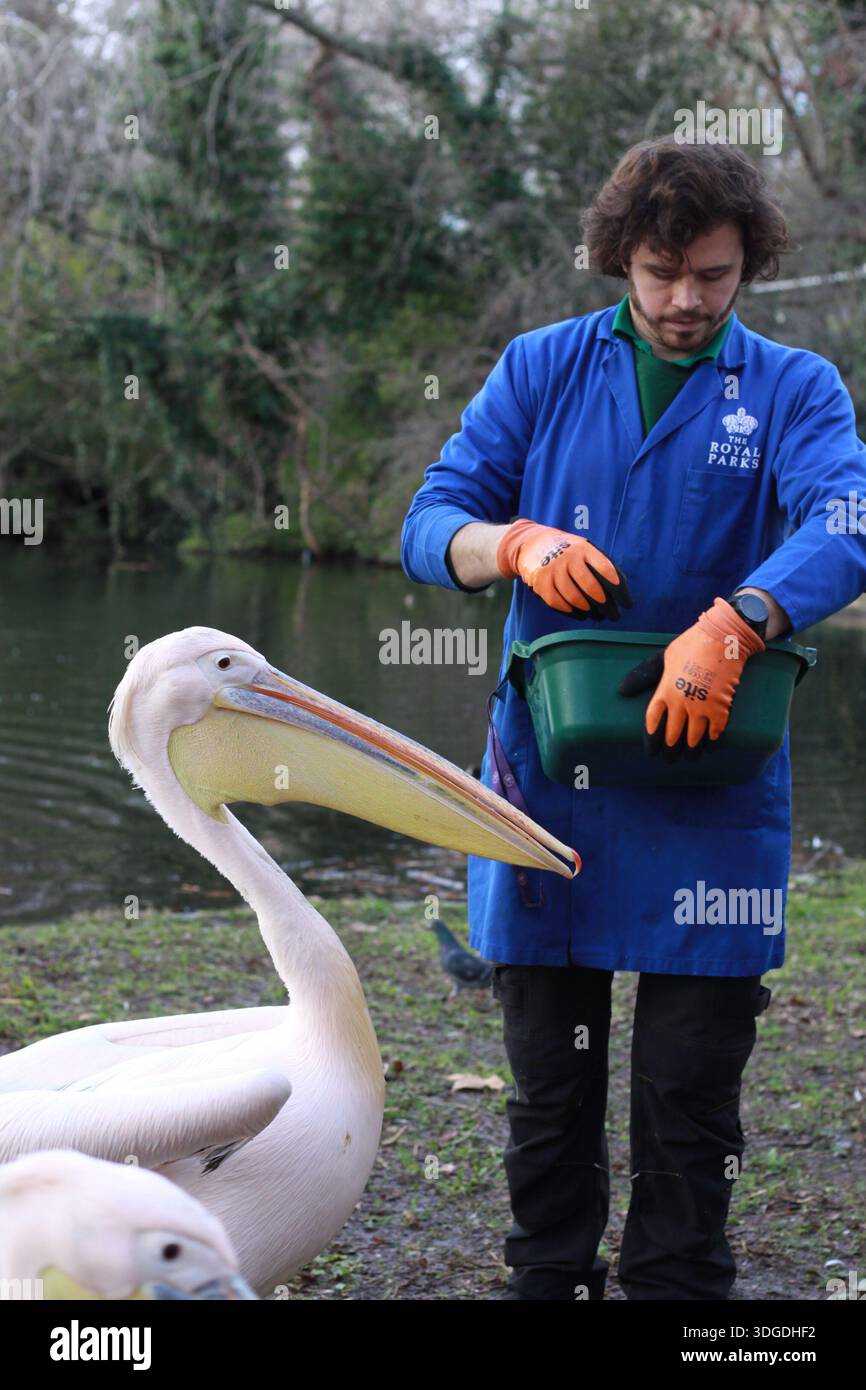 London uk january 2026 visitors hi-res stock photography and images - Alamy
