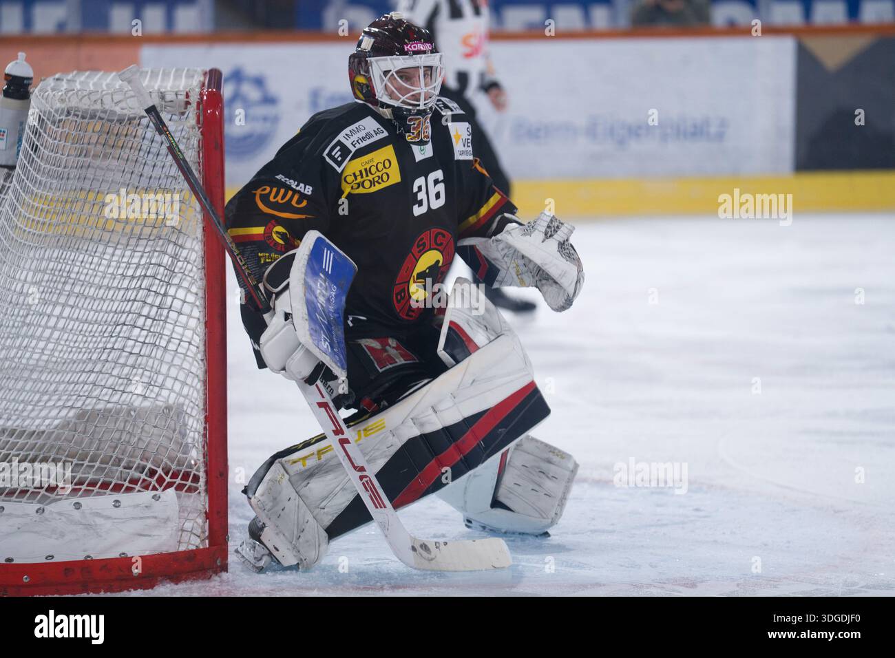 Bern, PostFinance Arena, NL: SC, USA. 16th Jan, 2026. Bern - HC Lugano ...