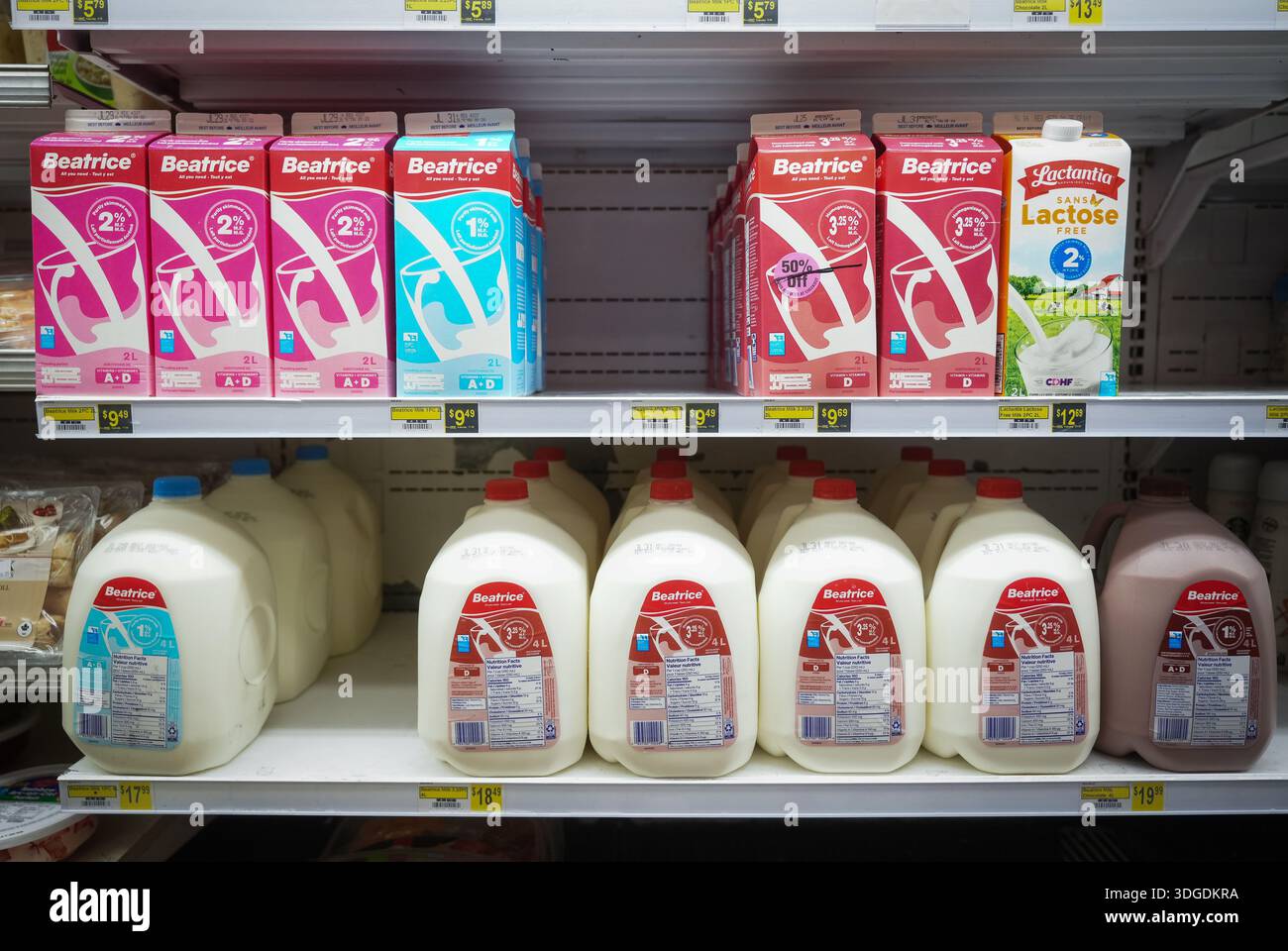 Jugs and cartons of milk are displayed for sale on shelves at NorthMart ...