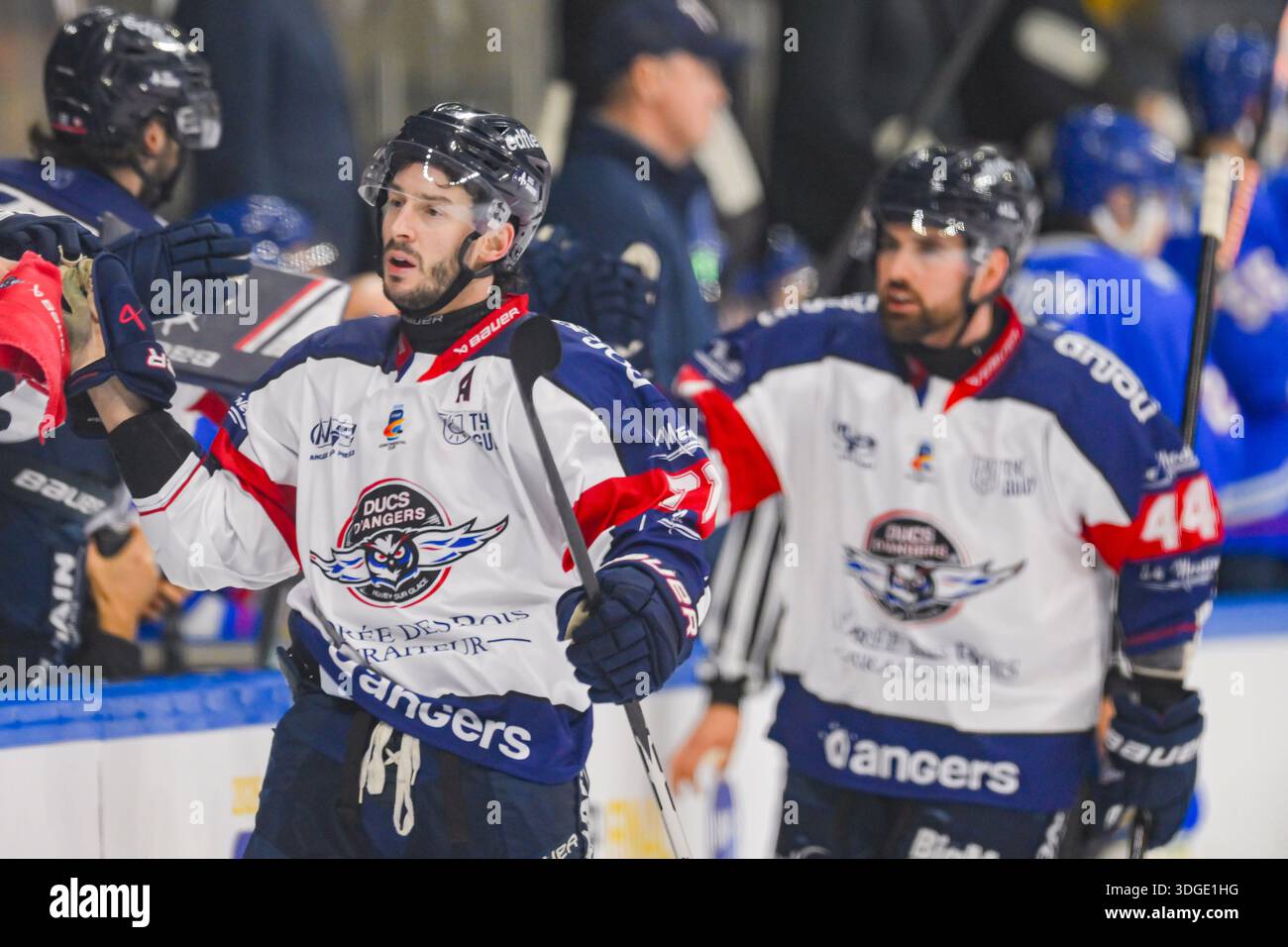 Philippe Halley of Angers celebrates Angers second goal during the HC ...