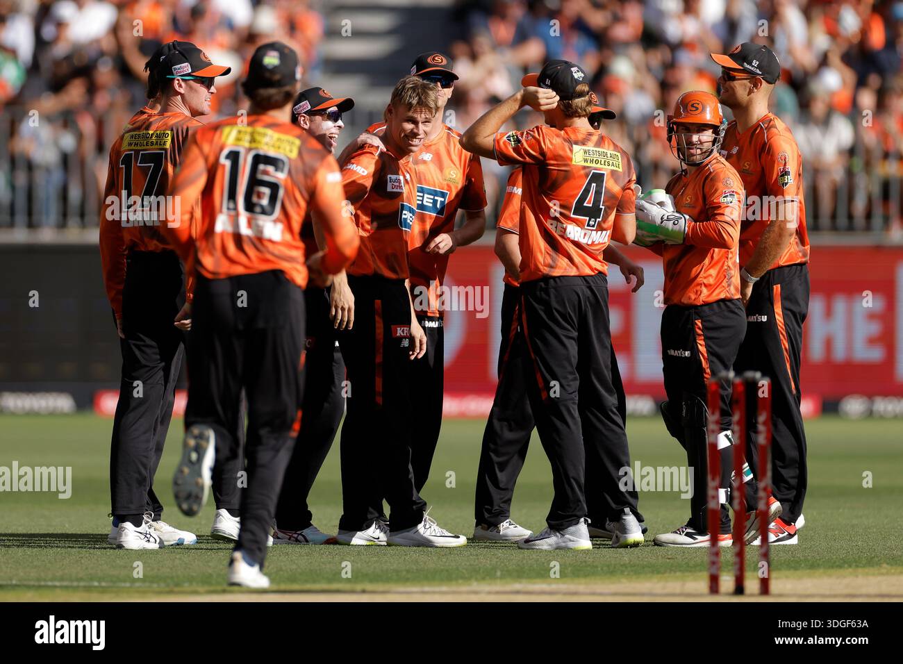 Perth, Australia. 17th Jan, 2026. Cooper Connolly of the Scorchers is ...