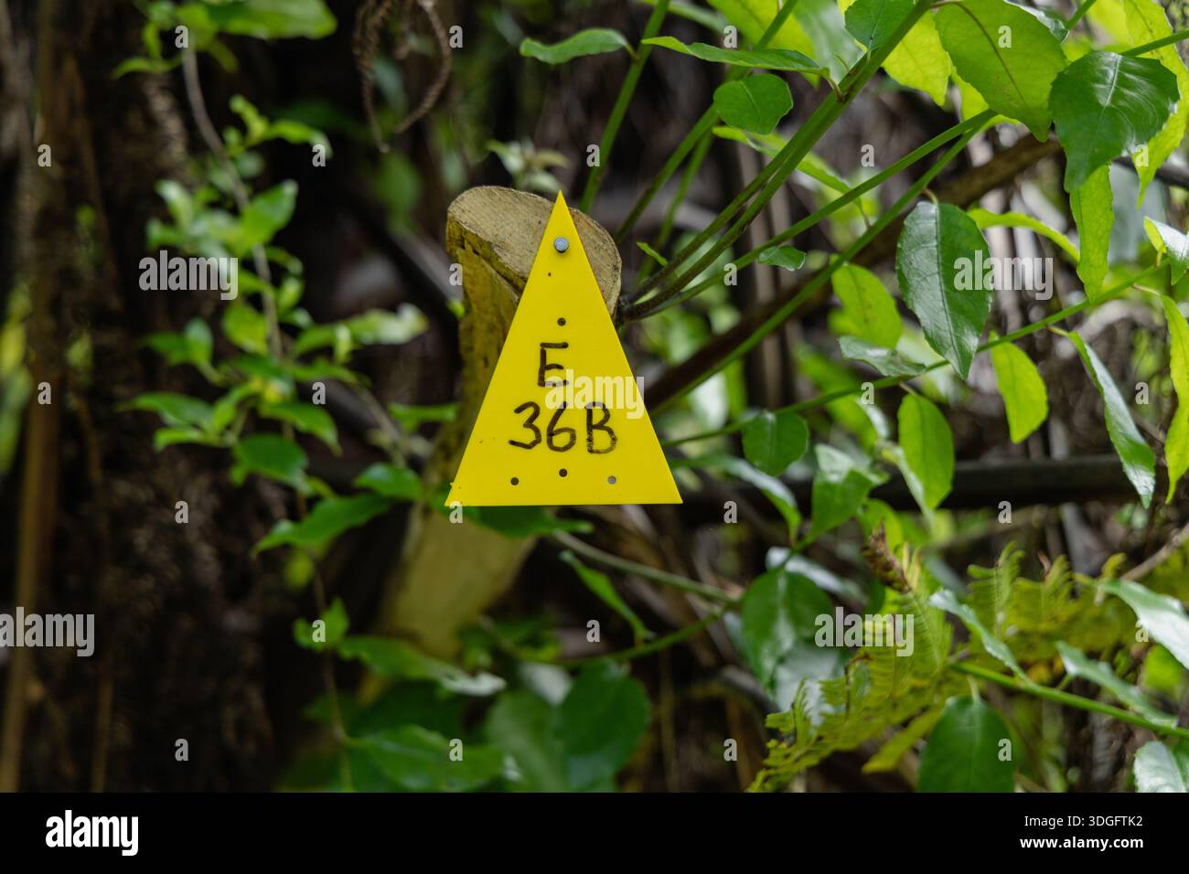 Navigation marker green triangle hi-res stock photography and images ...