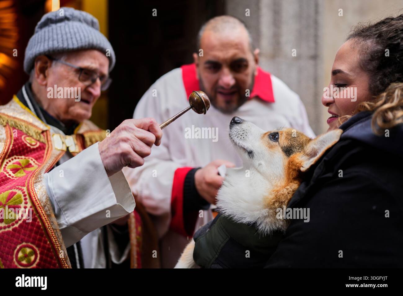A priest anoints a dog at the San Anton church during the feast of ...