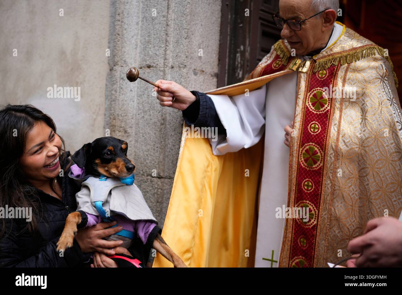 A priest anoints a dog at the San Anton church during the feast of ...