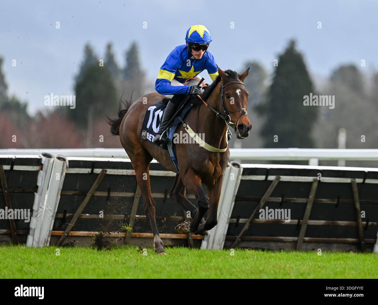 Ascot, UK. 17 January, 2026. Winston Junior ridden by Harry Cobden and ...