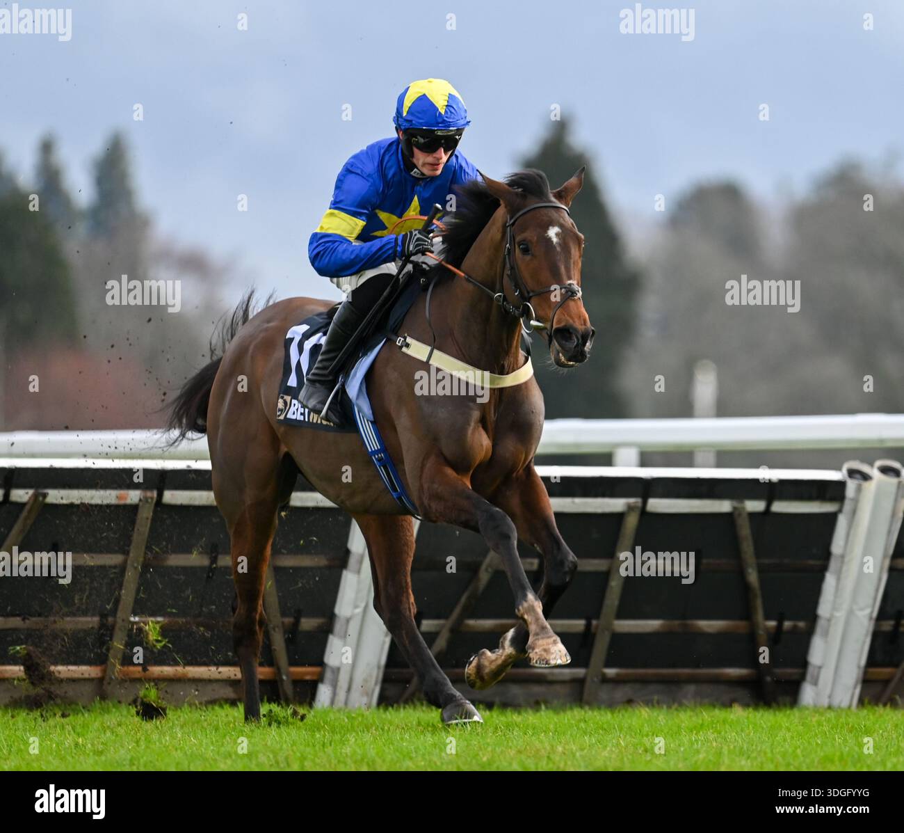 Ascot, UK. 17 January, 2026. Winston Junior ridden by Harry Cobden and ...