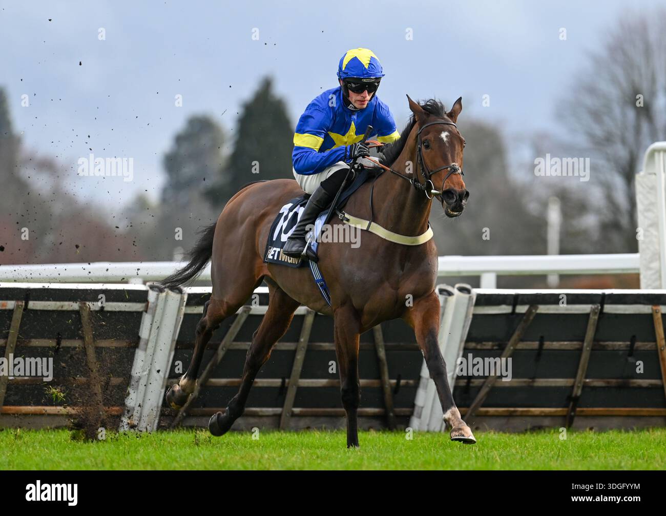 Ascot, UK. 17 January, 2026. Winston Junior ridden by Harry Cobden and ...
