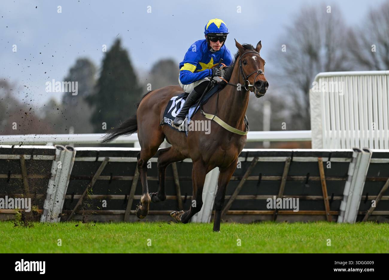 Ascot, UK. 17 January, 2026. Winston Junior ridden by Harry Cobden and ...