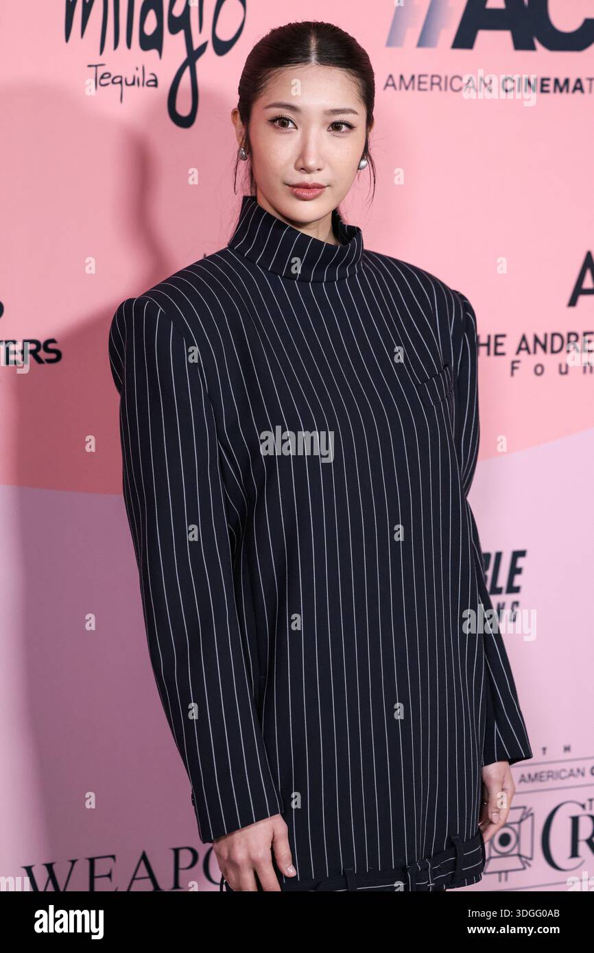 Hollywood, United States. 17th Jan, 2026. HOLLYWOOD, LOS ANGELES ...