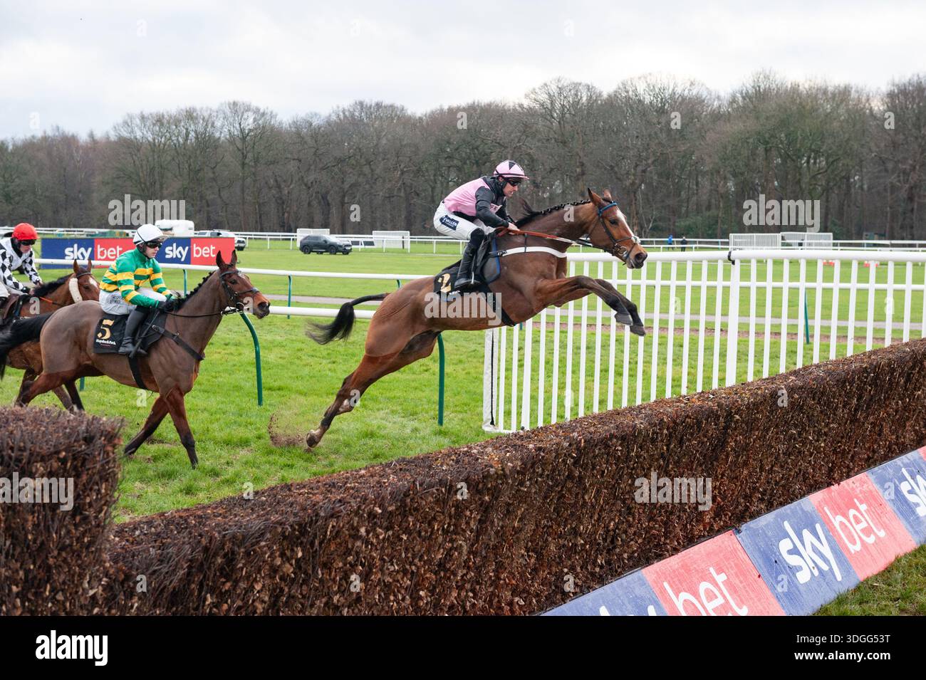 Haydock Park, UK, Saturday 17th January 2026; Throatlash & Brian Hughes ...