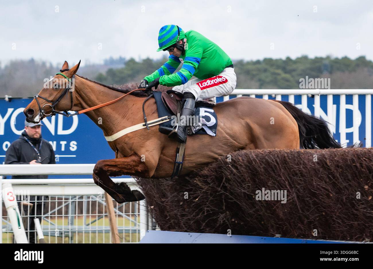 Ascot, UK, Saturday 17th January 2026; The Jukebox Kid and jockey Ben ...