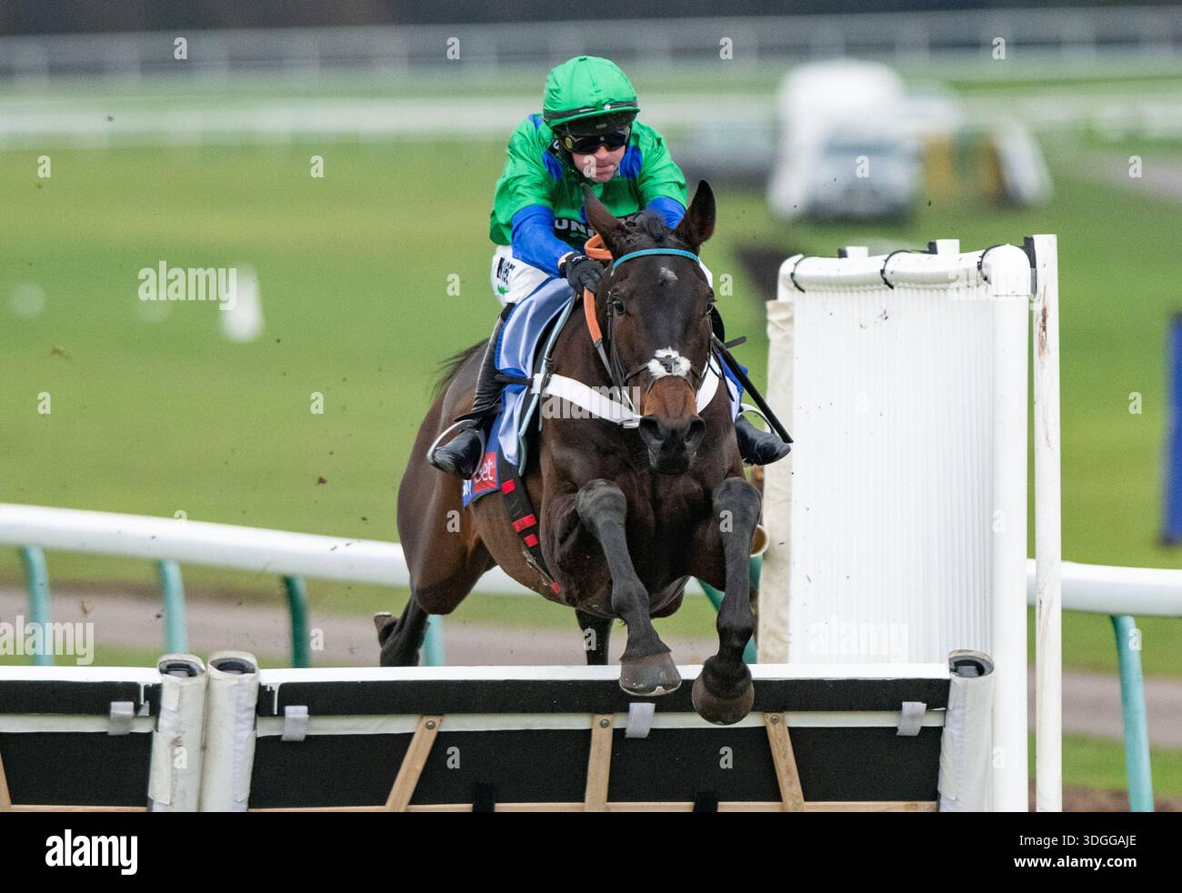 Haydock Park, UK, Saturday 17th January 2026; Old Park Star & Nico De ...