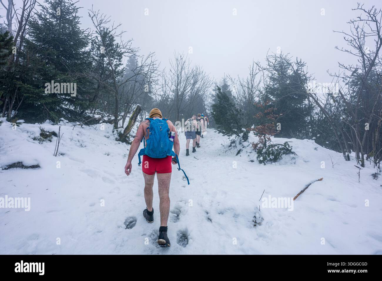 Liberec, Czech Republic. 17th Jan, 2026. Thirty-seven hardy souls set ...
