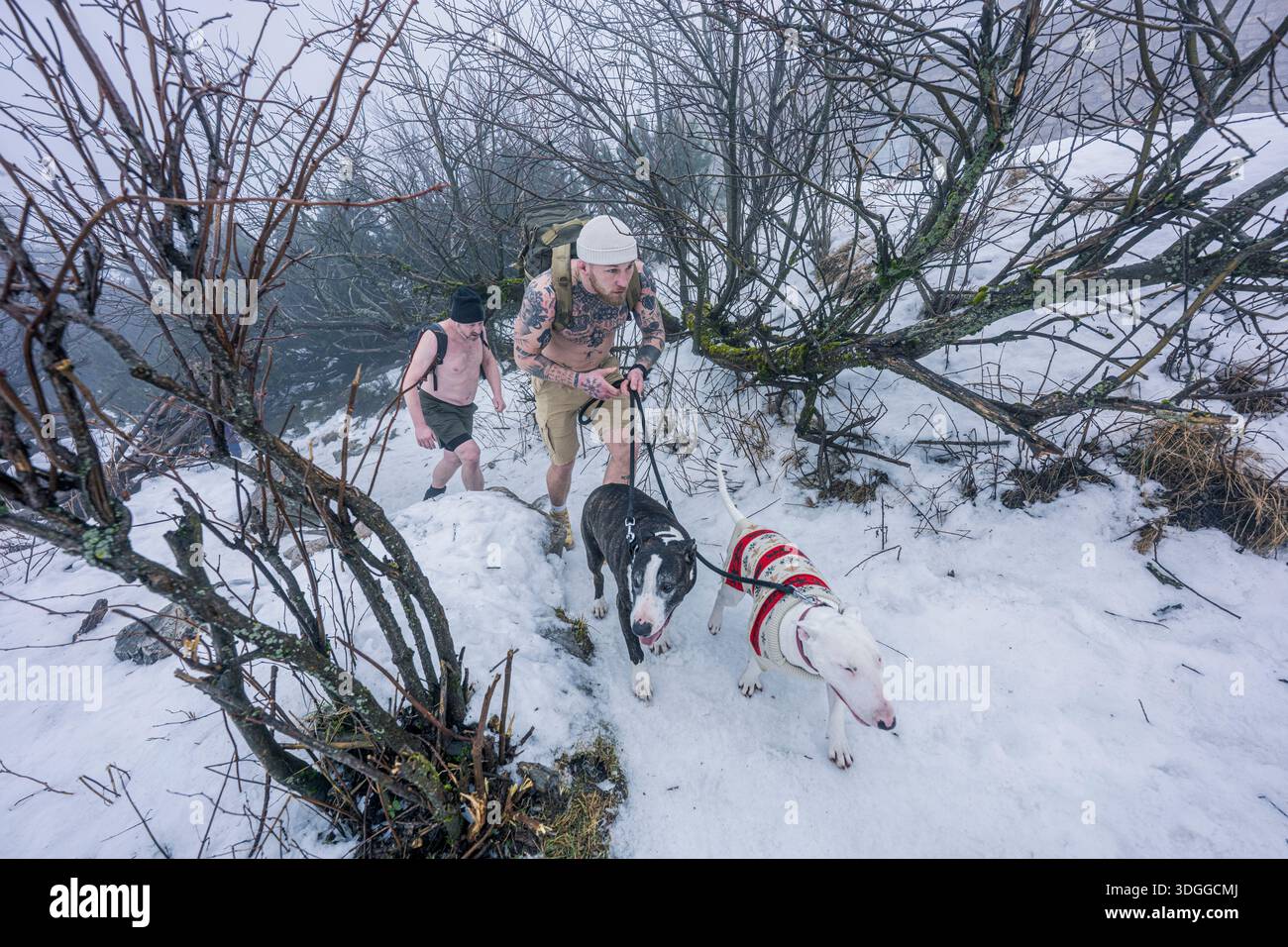 Liberec, Czech Republic. 17th Jan, 2026. Thirty-seven hardy souls set ...