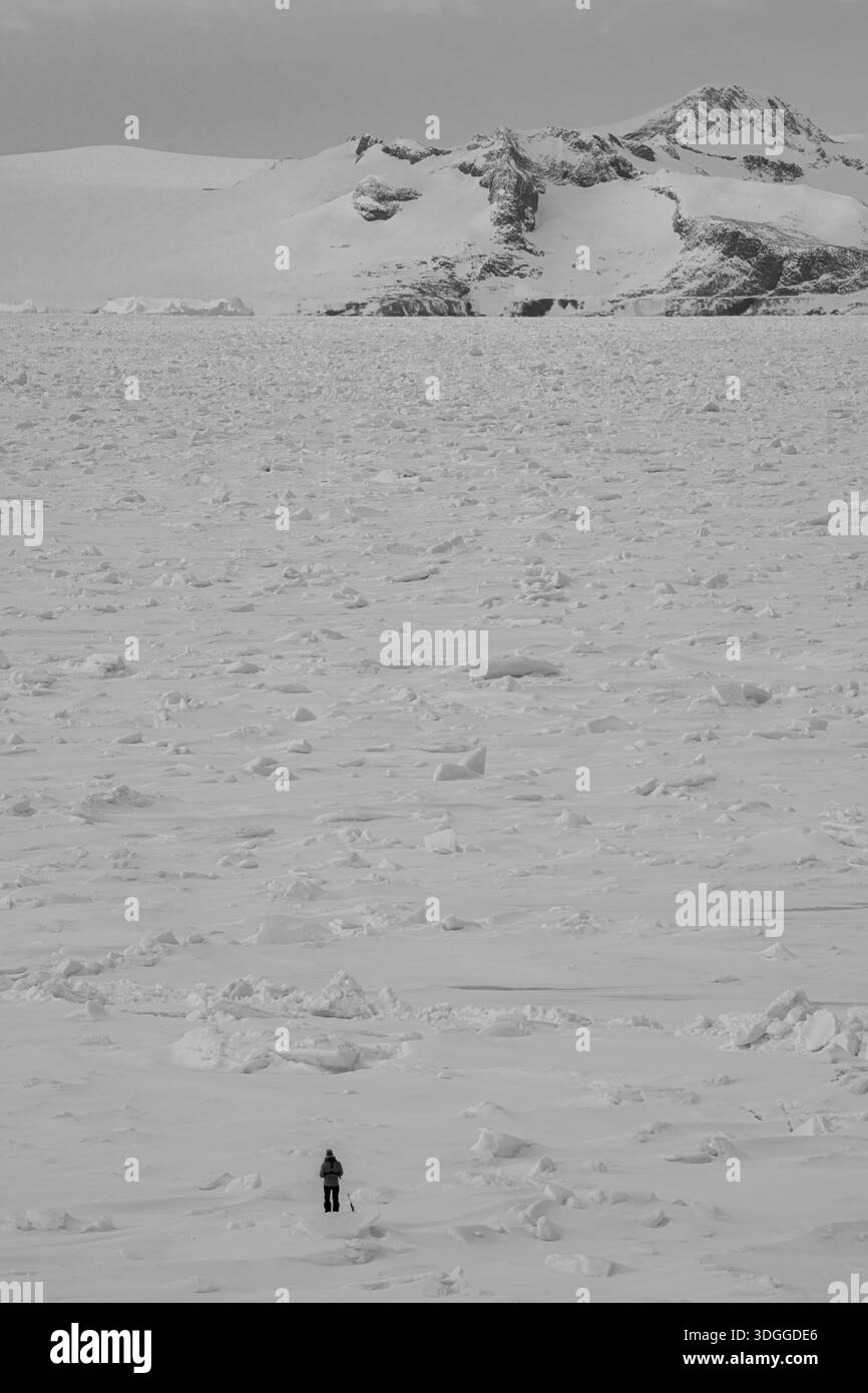 Polar guide checking for polar bears on sea ice drifting southward on ...