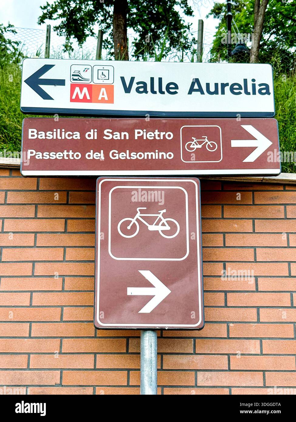 Aurelia vatican hi-res stock photography and images - Alamy