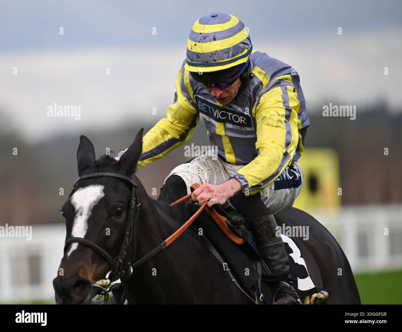Ascot, UK. 17 January, 2026. La Conquiere during the The BetMGM ...