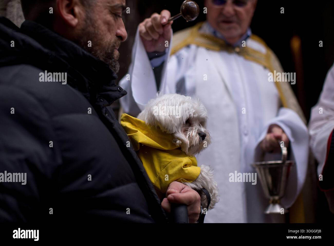 Madrid, Spain. 17th Jan, 2026. A priest blesses a dog, during the ...