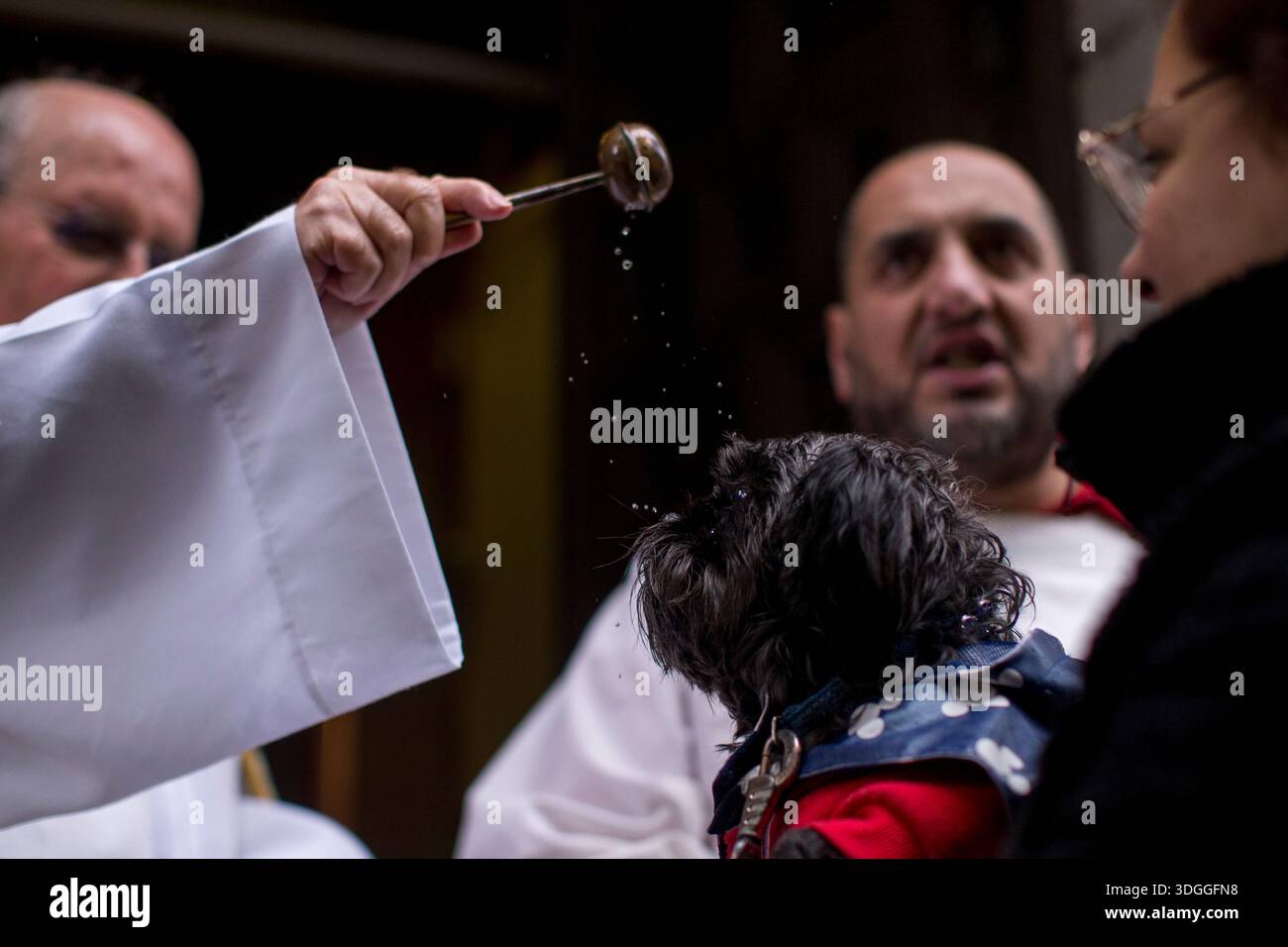 Madrid, Spain. 17th Jan, 2026. A priest blesses a dog, during the ...