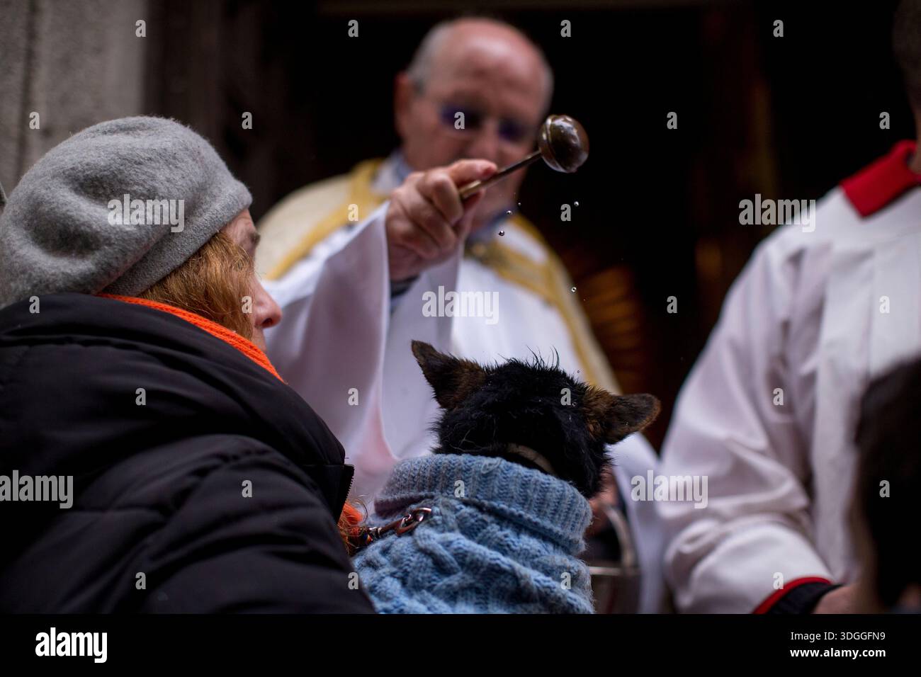 Madrid, Spain. 17th Jan, 2026. A priest blesses a dog, during the ...