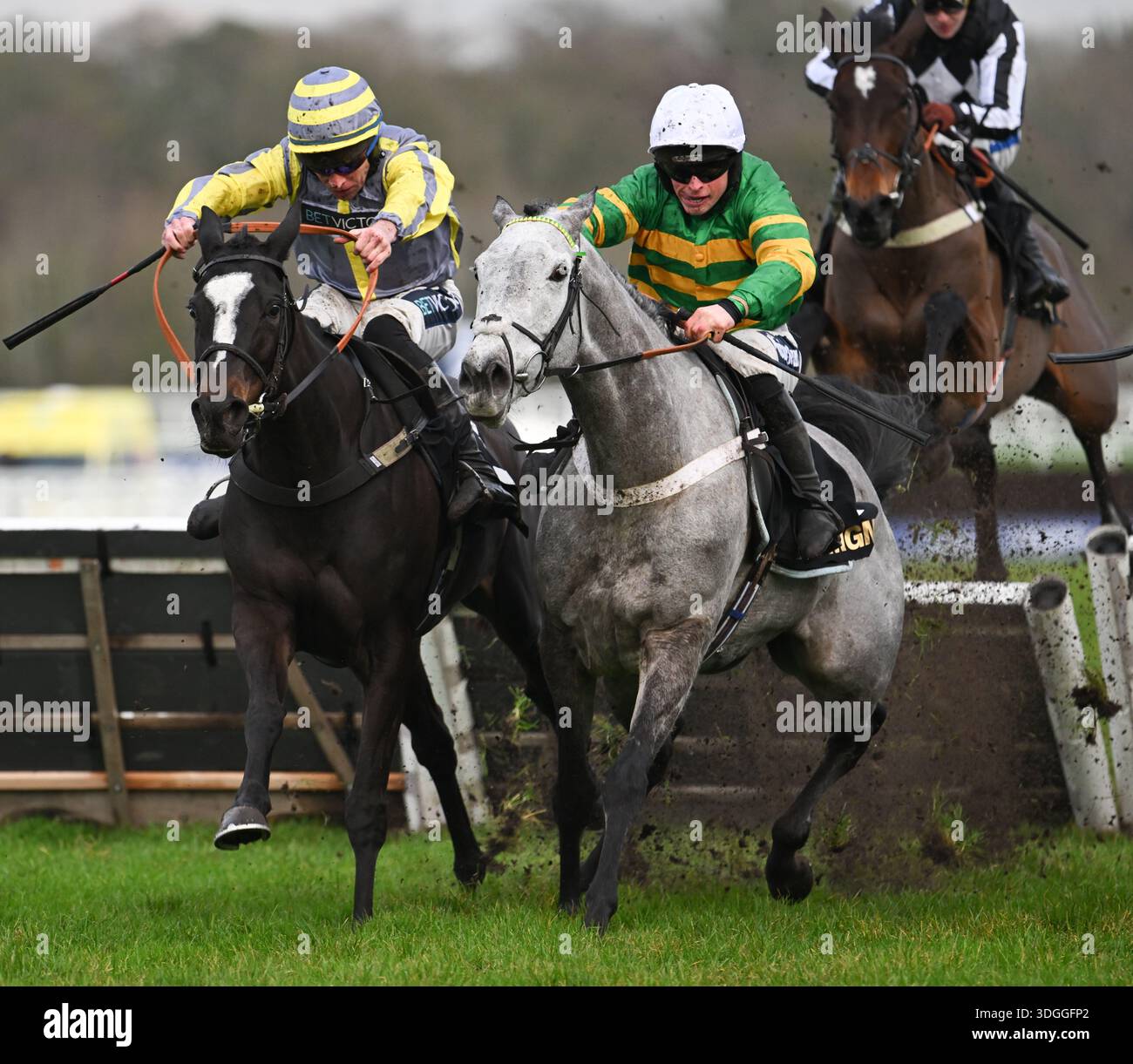 Ascot, UK. 17 January, 2026. Joyeuse during The BetMGM Warfield Mares ...