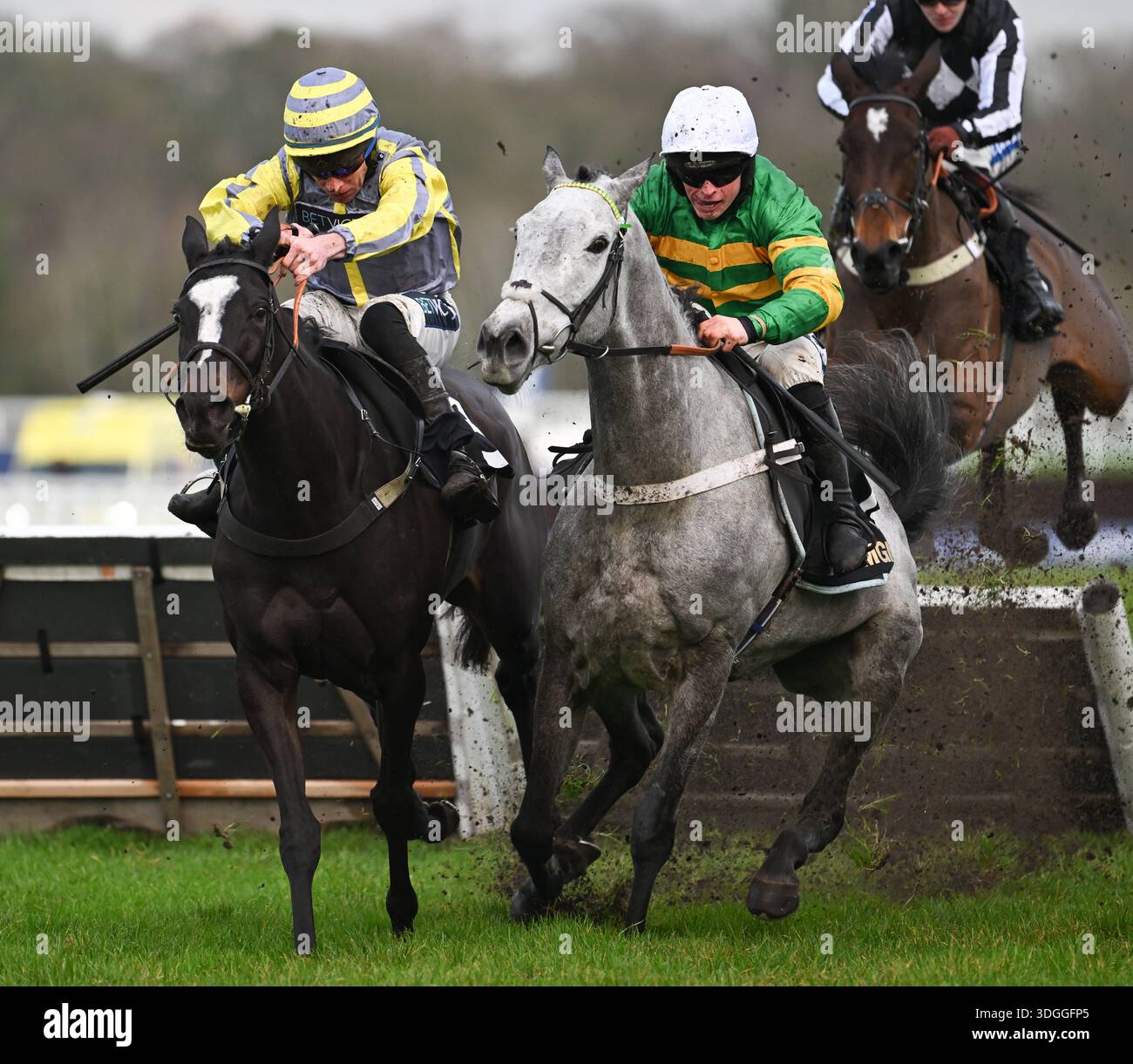 Ascot, UK. 17 January, 2026. Joyeuse during The BetMGM Warfield Mares ...