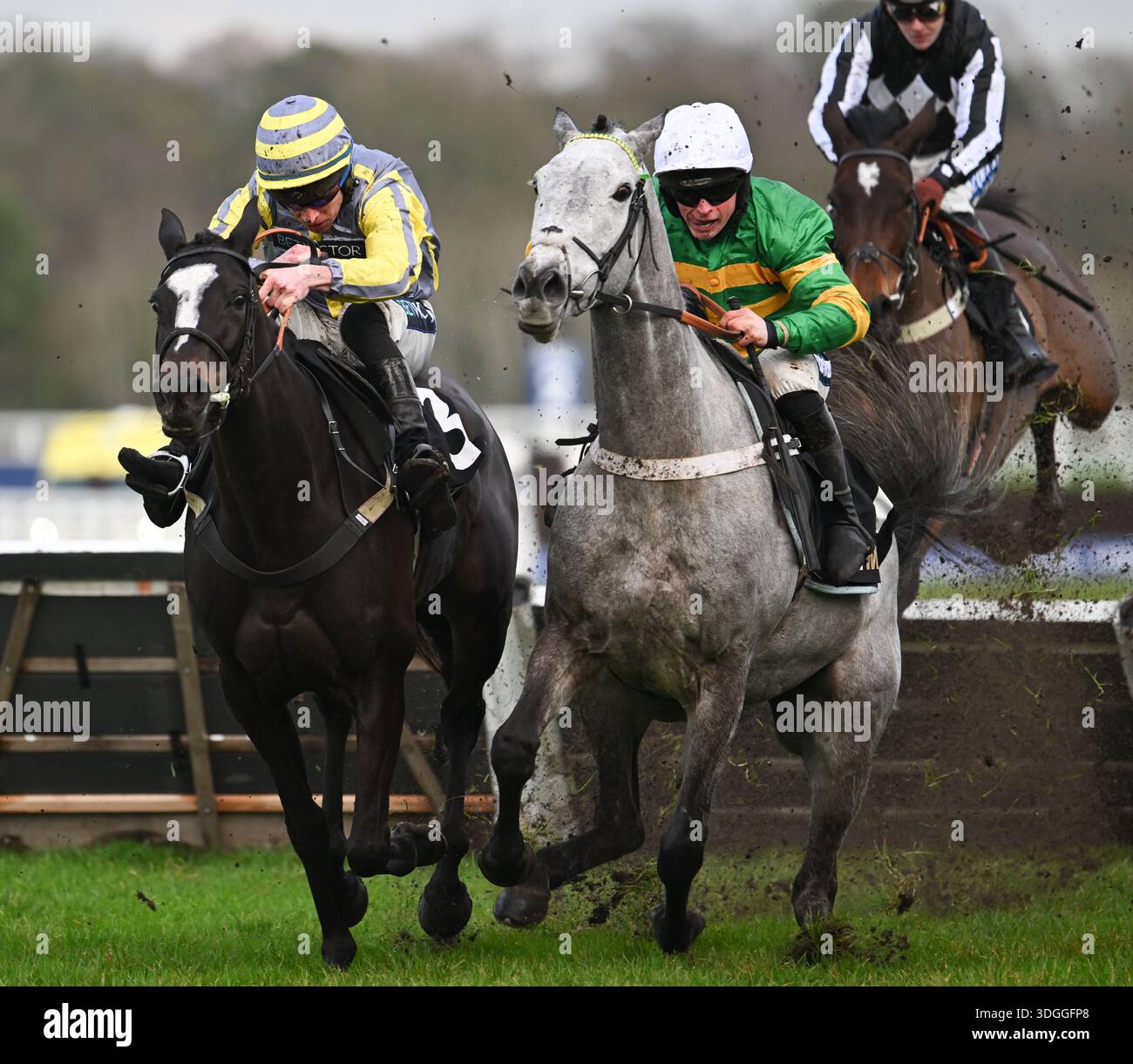 Ascot, UK. 17 January, 2026. Joyeuse during The BetMGM Warfield Mares ...