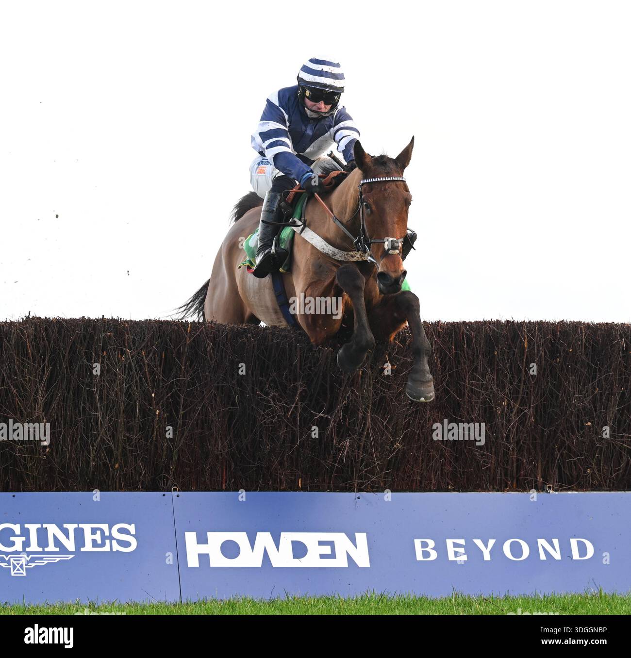 Ascot, UK. 17 January, 2026. Vincenzo ridden by Dylan Johnstone and ...