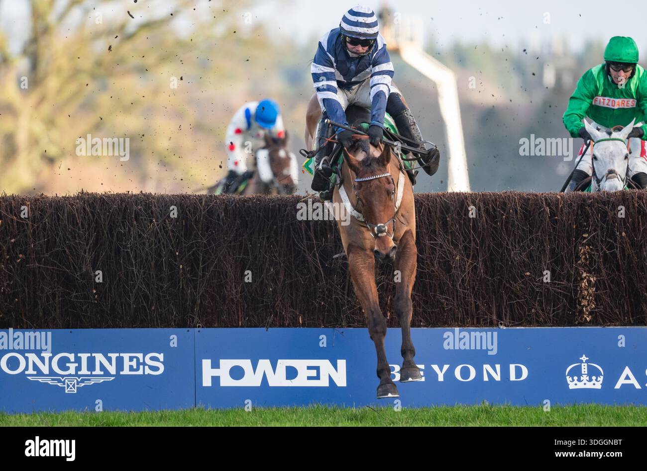 Ascot, UK, Saturday 17th January 2026; Vincenzo and jockey Dylan ...