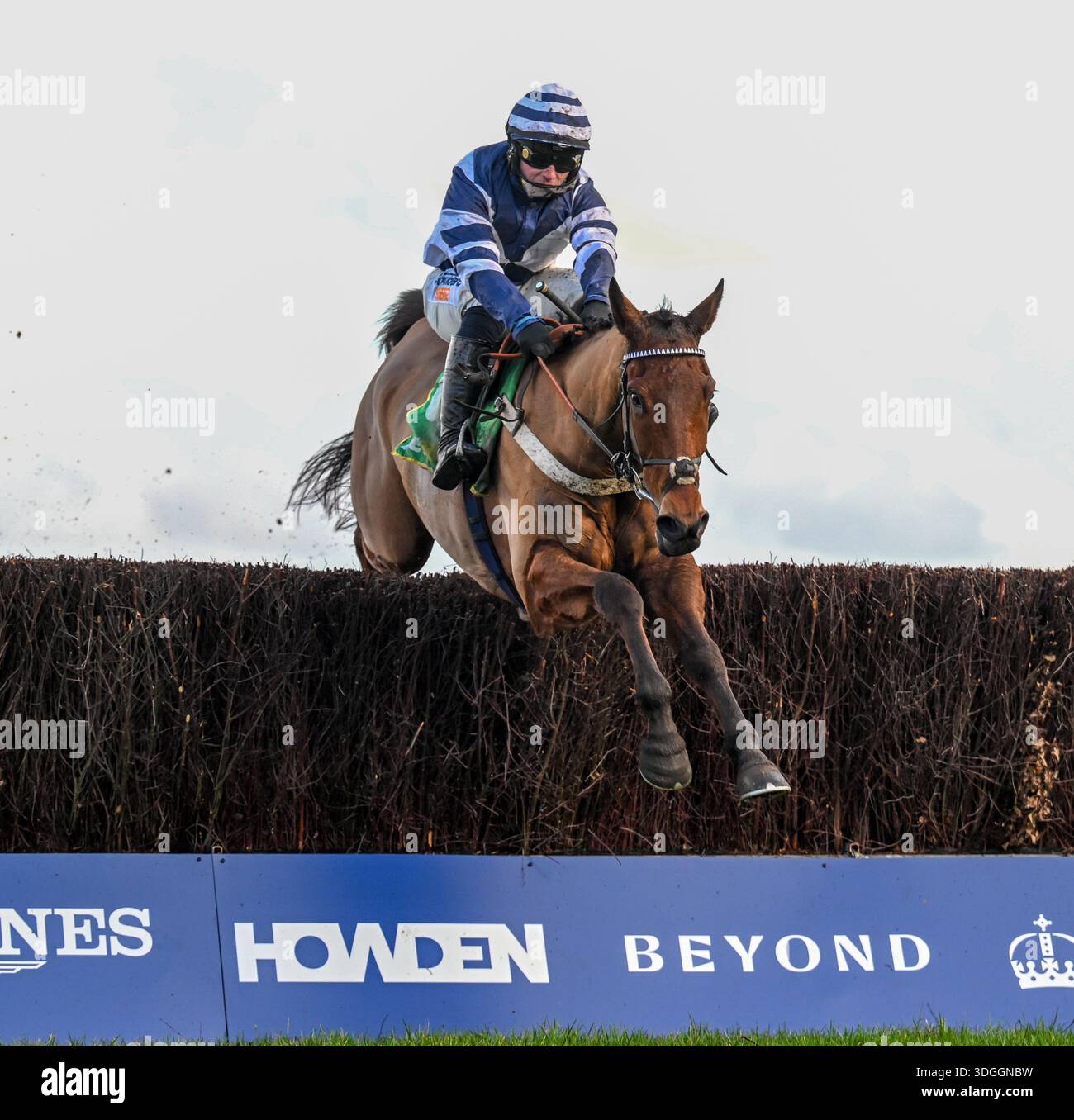 Ascot, UK. 17 January, 2026. Vincenzo ridden by Dylan Johnstone and ...