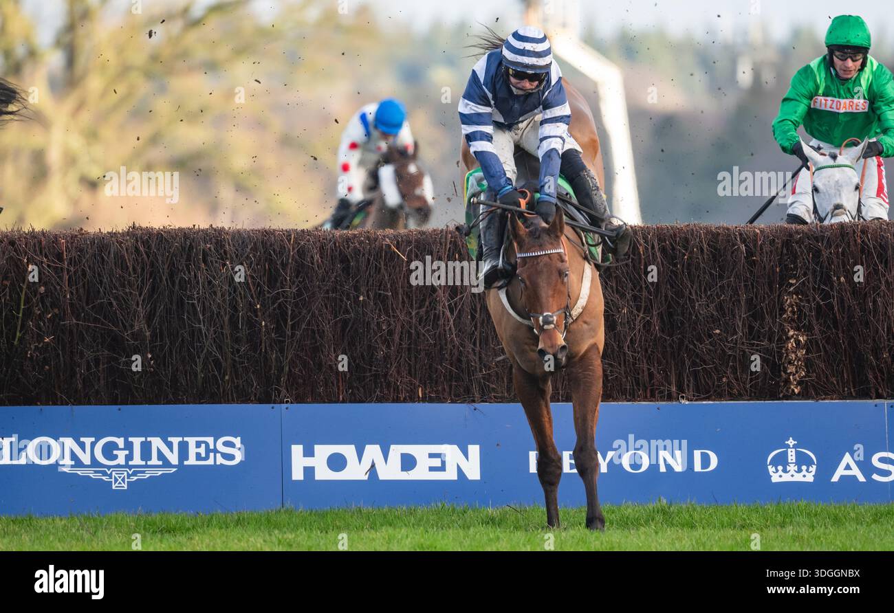 Ascot, UK, Saturday 17th January 2026; Vincenzo and jockey Dylan ...