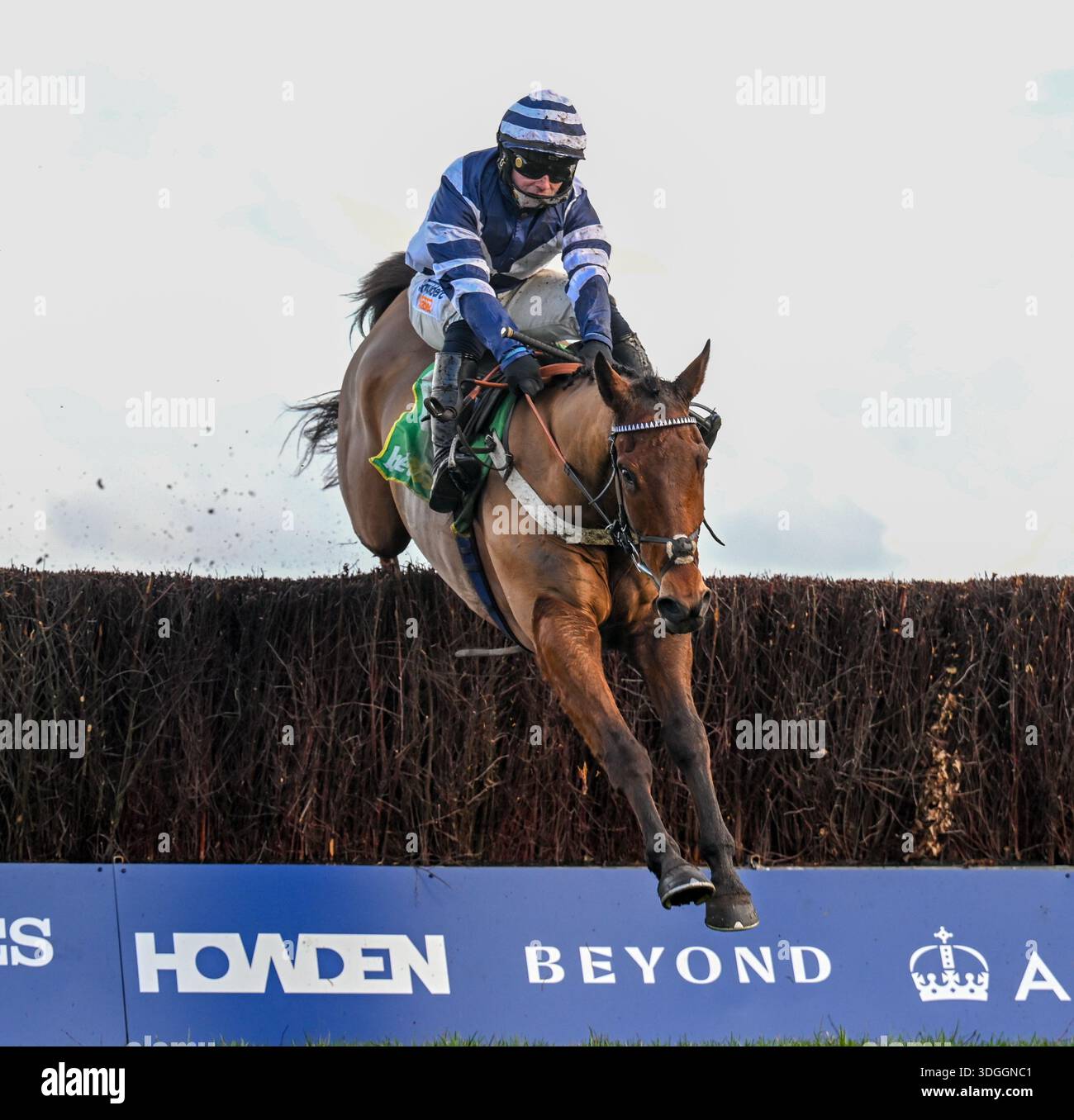 Ascot, UK. 17 January, 2026. Vincenzo ridden by Dylan Johnstone and ...