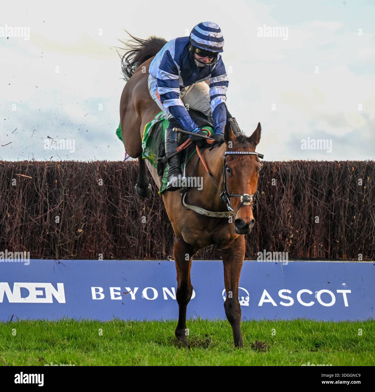 Ascot, UK. 17 January, 2026. Vincenzo ridden by Dylan Johnstone and ...