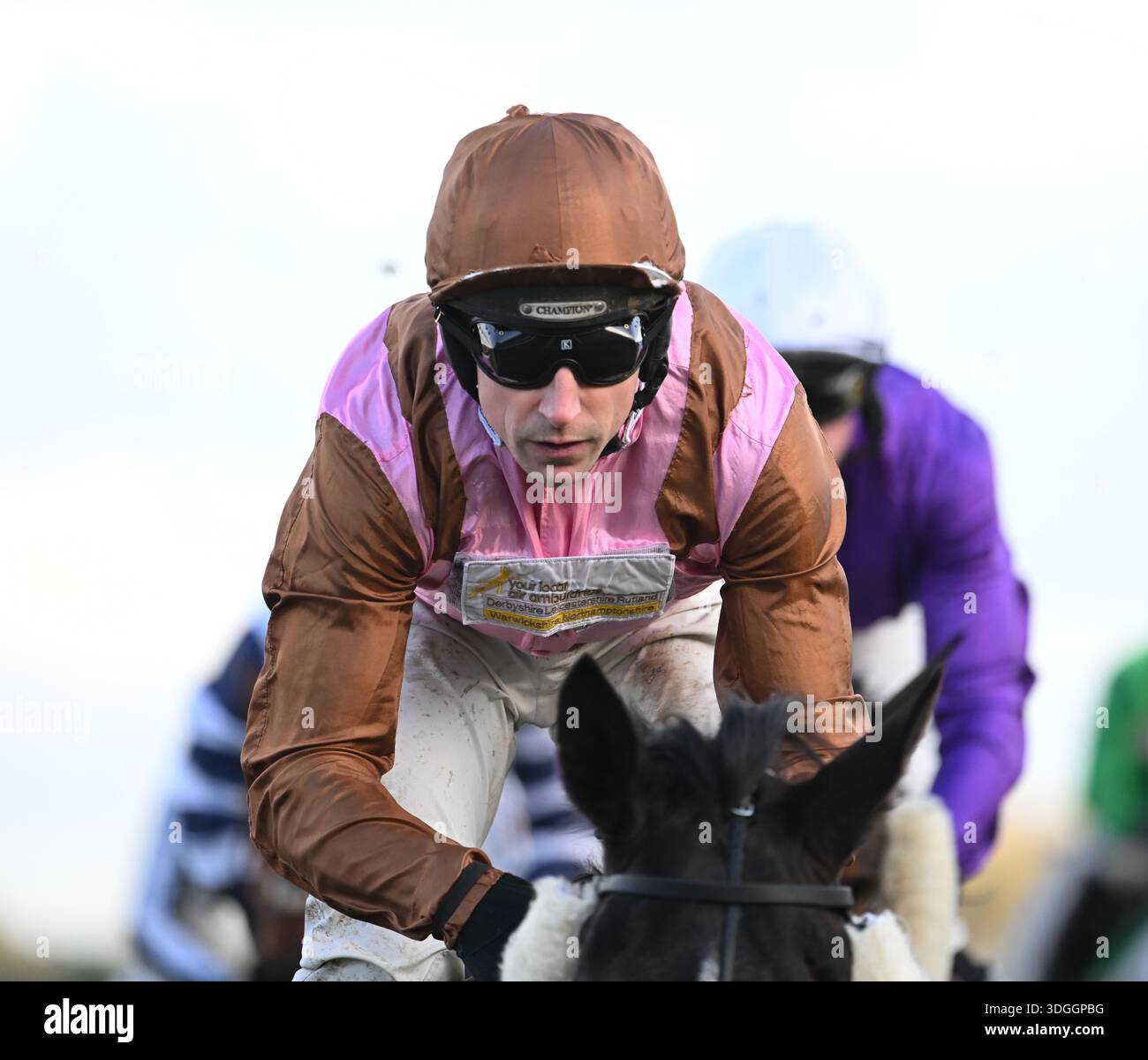 Ascot, UK. 17 January, 2026. Harry Skelton rides Etalon in The bet365 ...