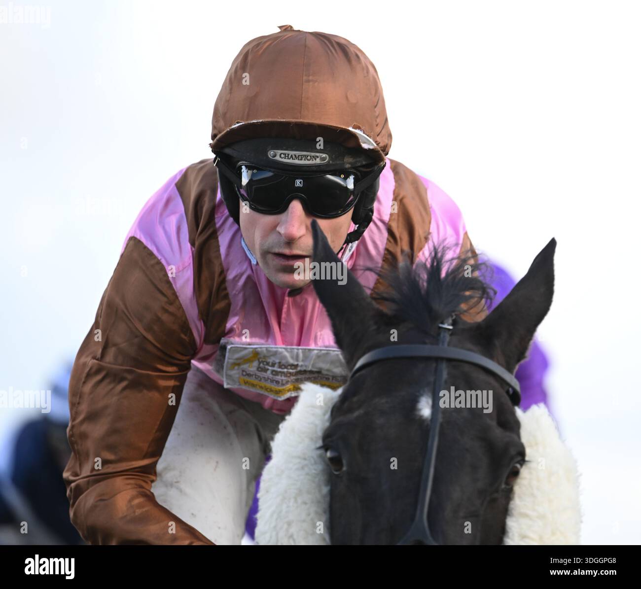 Ascot, UK. 17 January, 2026. Harry Skelton rides Etalon in The bet365 ...