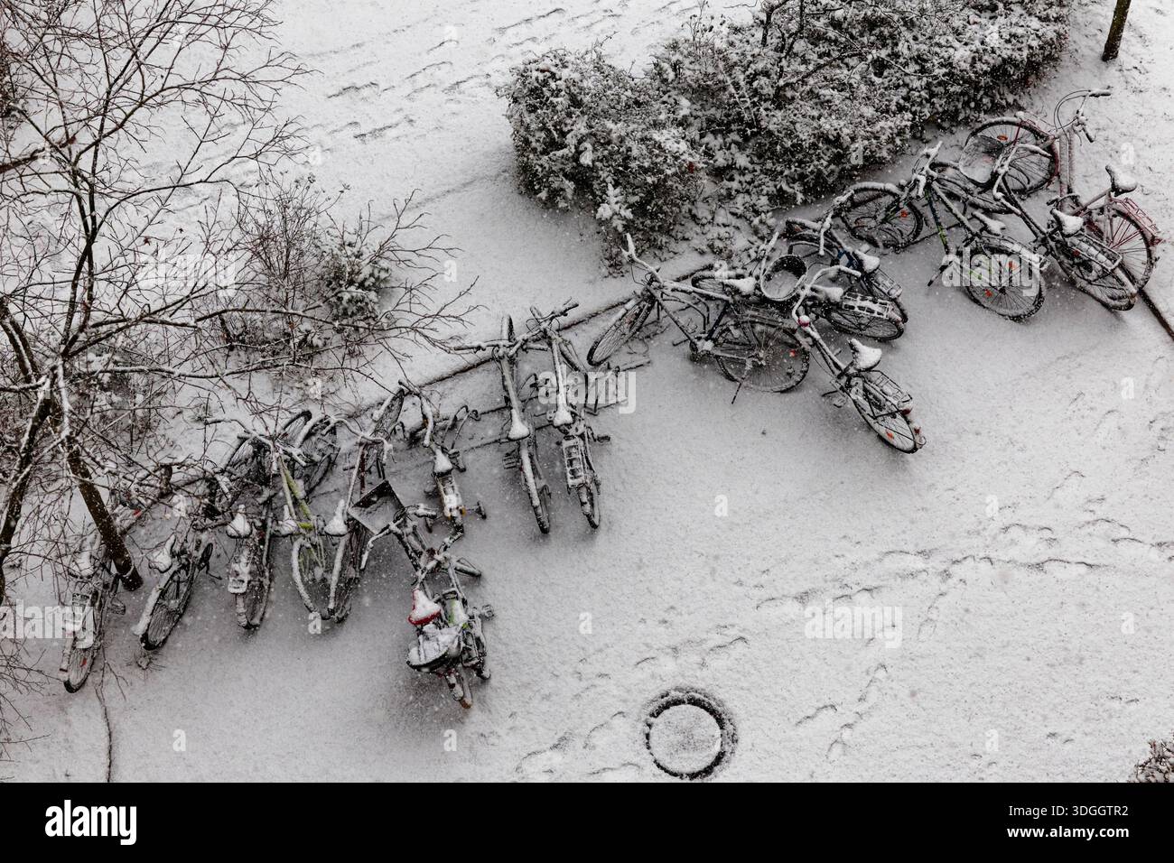 Abgestellte Fahrräder im Schneetreiben 2025-12-31 Deutschland, Berlin ...