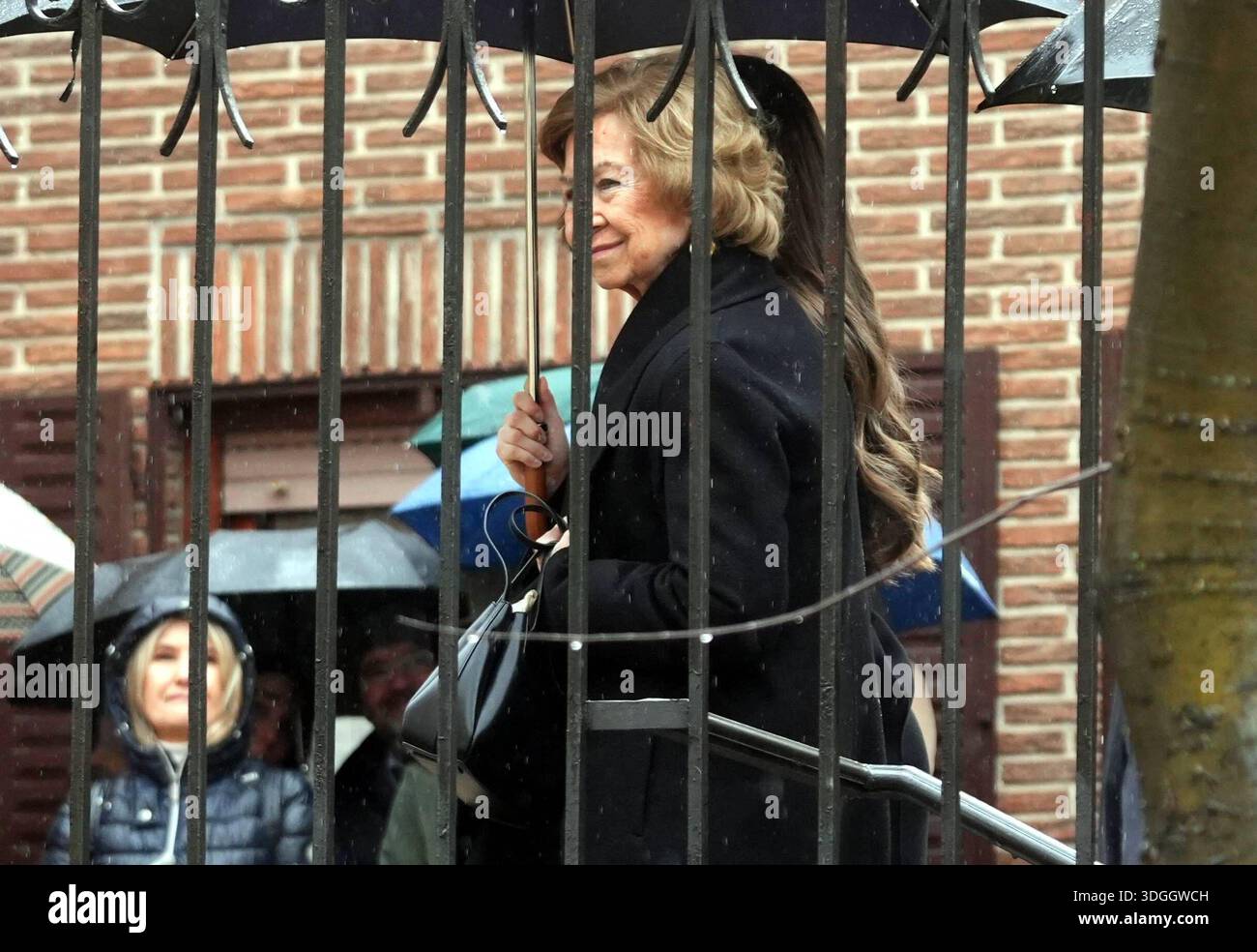 Madrid, Spain. 17th Jan, 2026. Spanish Emeritus Queen Sofia of Greece ...