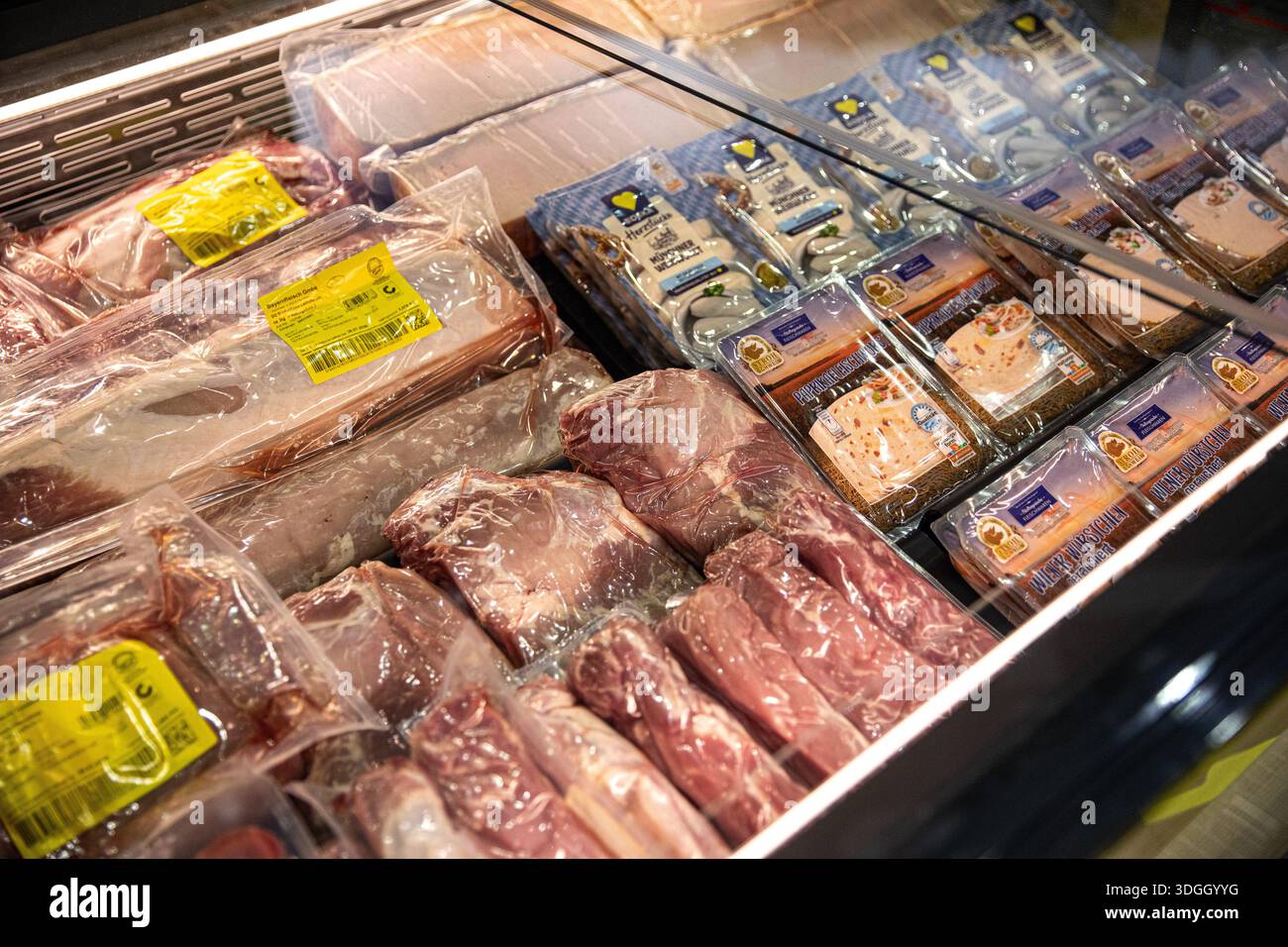 Berlin, Berlin, Germany. 17th Jan, 2026. Visitors explore exhibits at ...
