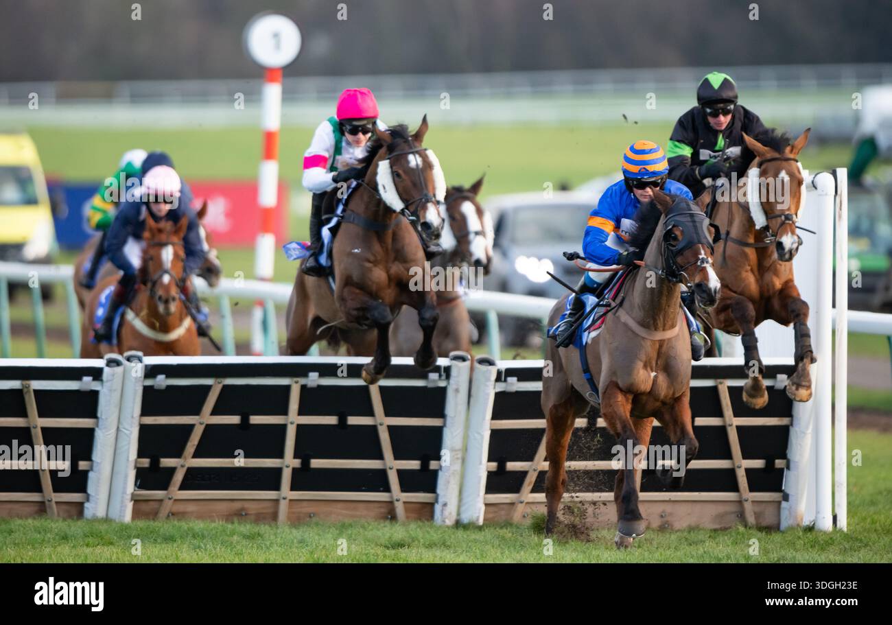 Haydock Park, UK, Saturday 17th January 2026; Dalston Lad & Tristan ...