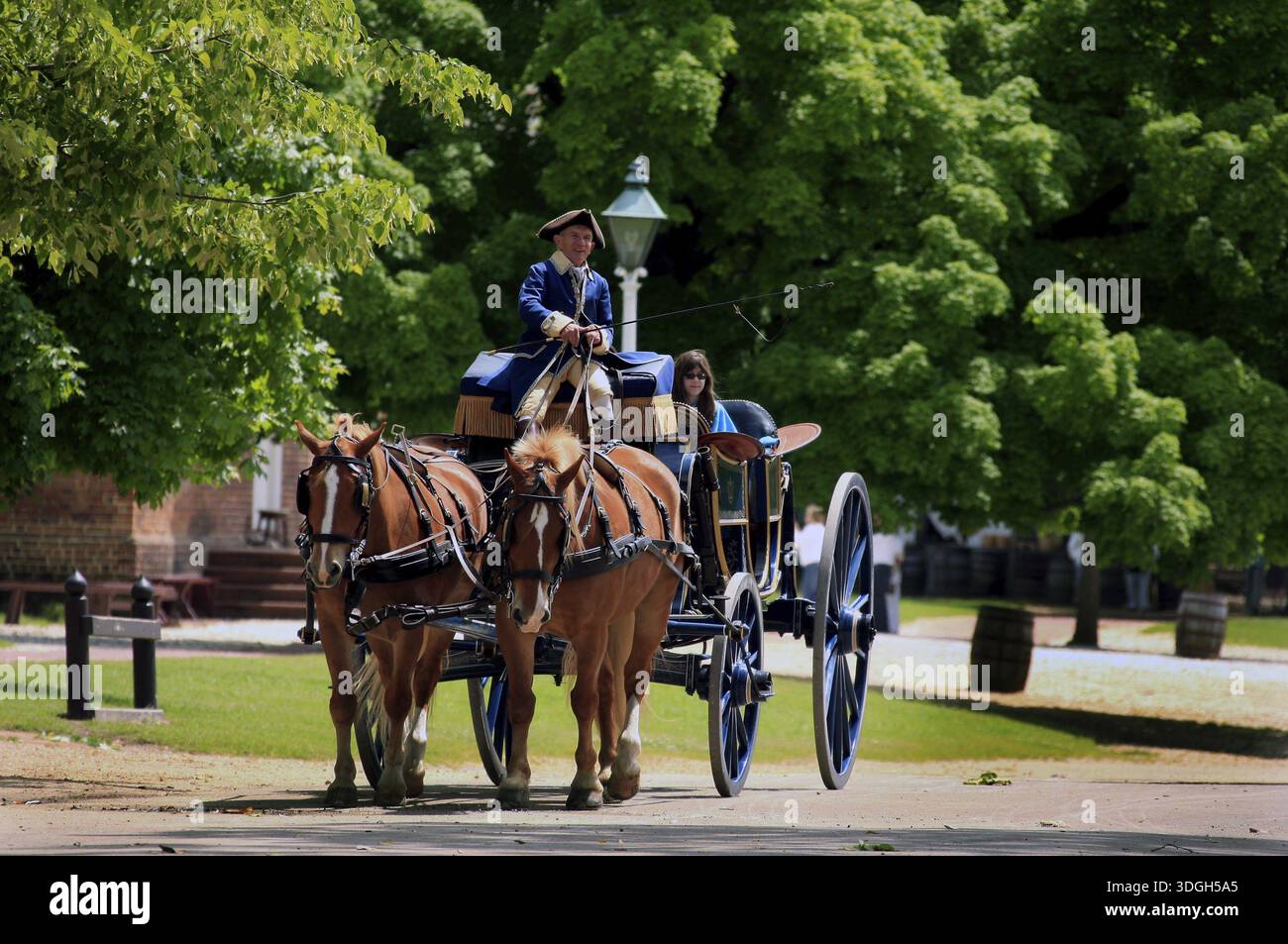 Historic horse-drawn carriage passes through Colonial Williamsburg ...