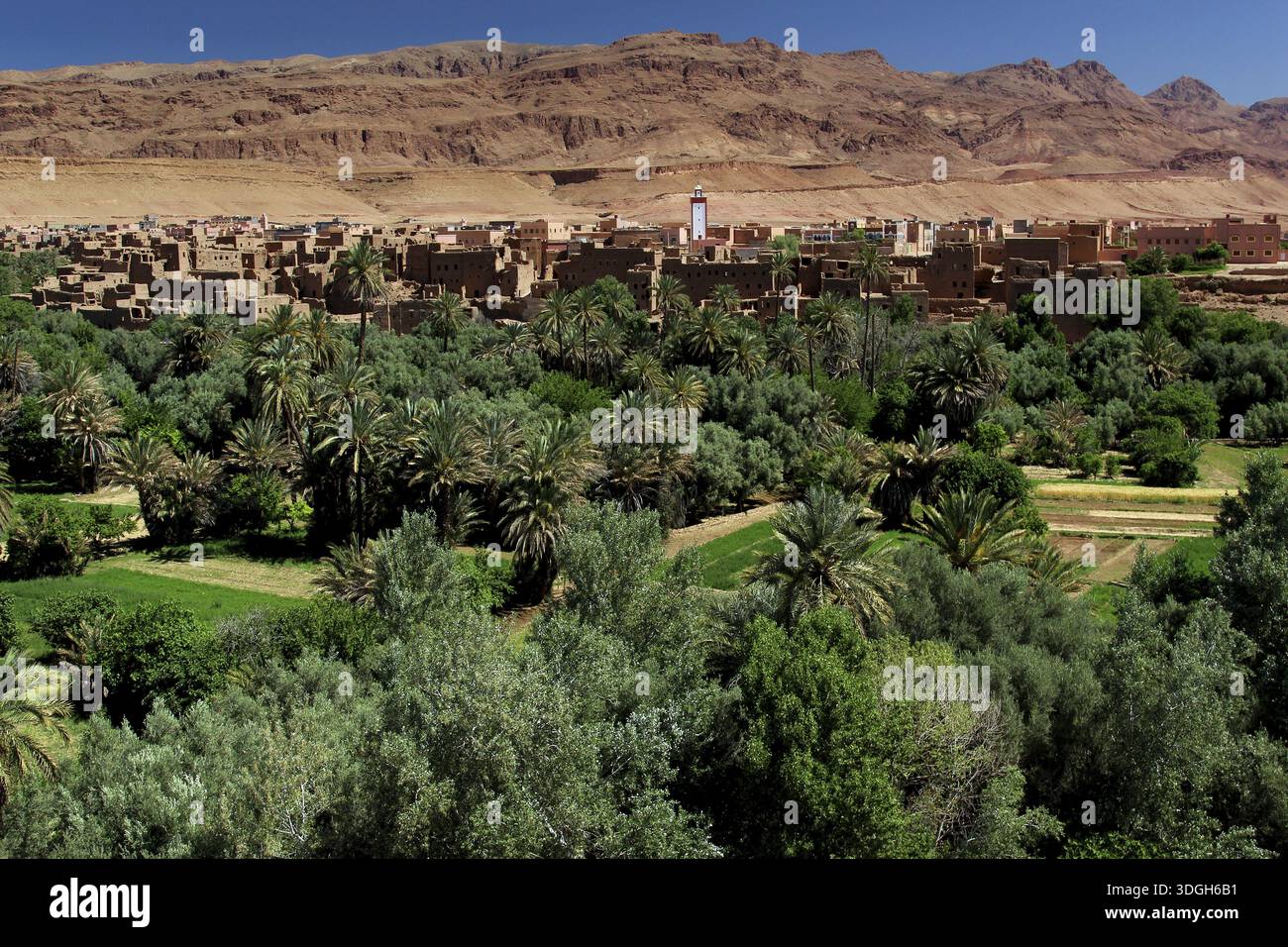 Lush palm sea surrounds a desert village in the Todra Gorge, Todra ...