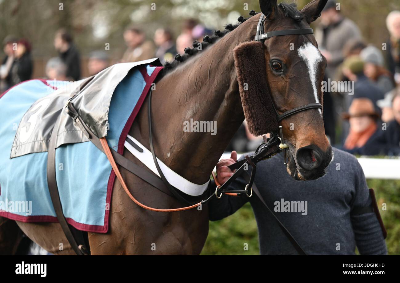 Ascot, UK. 17 January, 2026. Jonbon before the The BetMGM Clarence ...