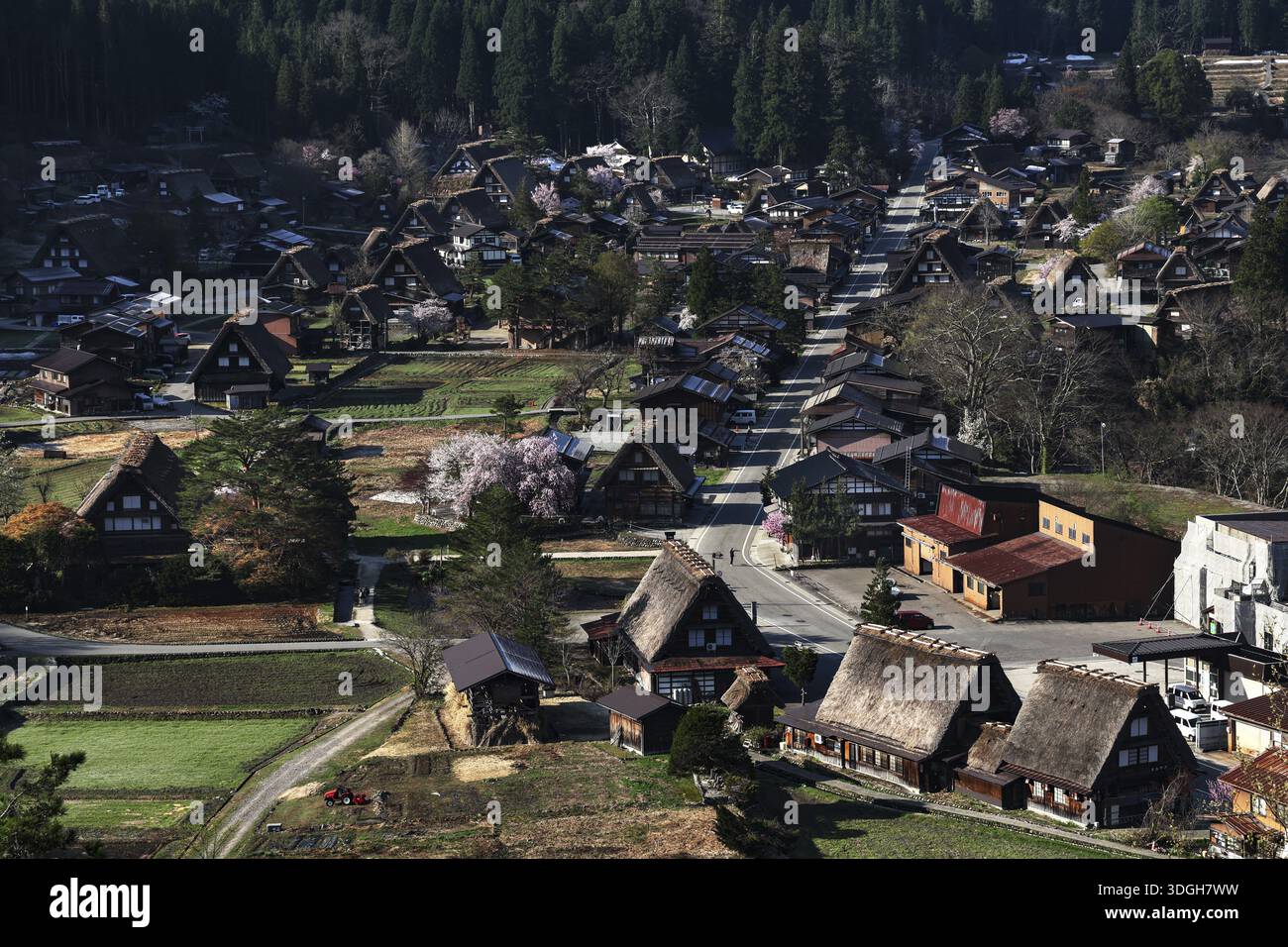 Shirakawa-go village with traditional gassho-zukuri houses in the ...